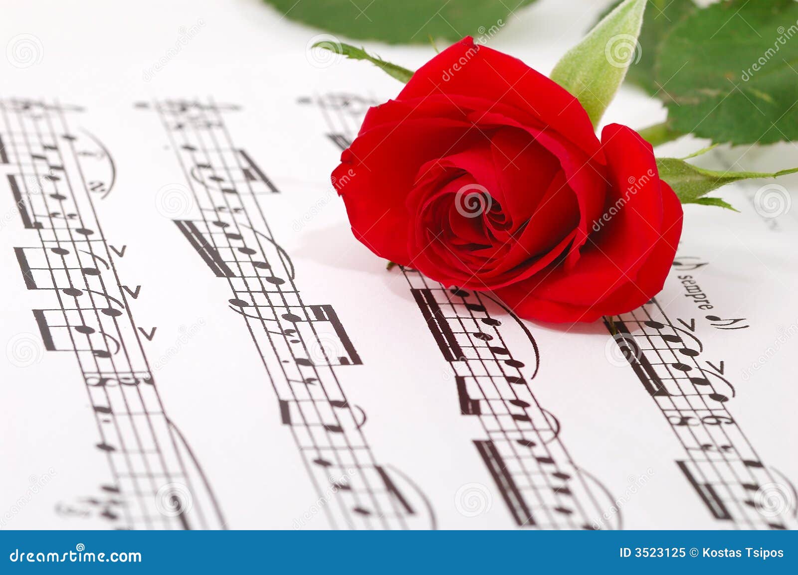 Red silky rose and notes stock image. Image of aged, leaf - 3523125