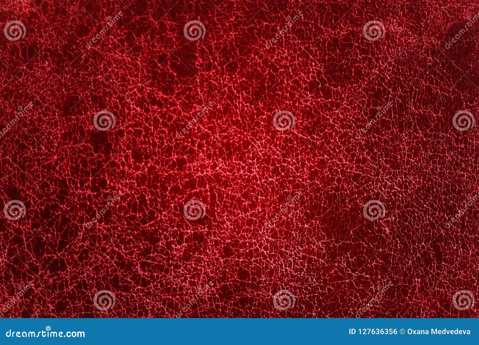 Beautiful Red Skin Texture Close-up. Horizontal Frame. Stock Photo ...