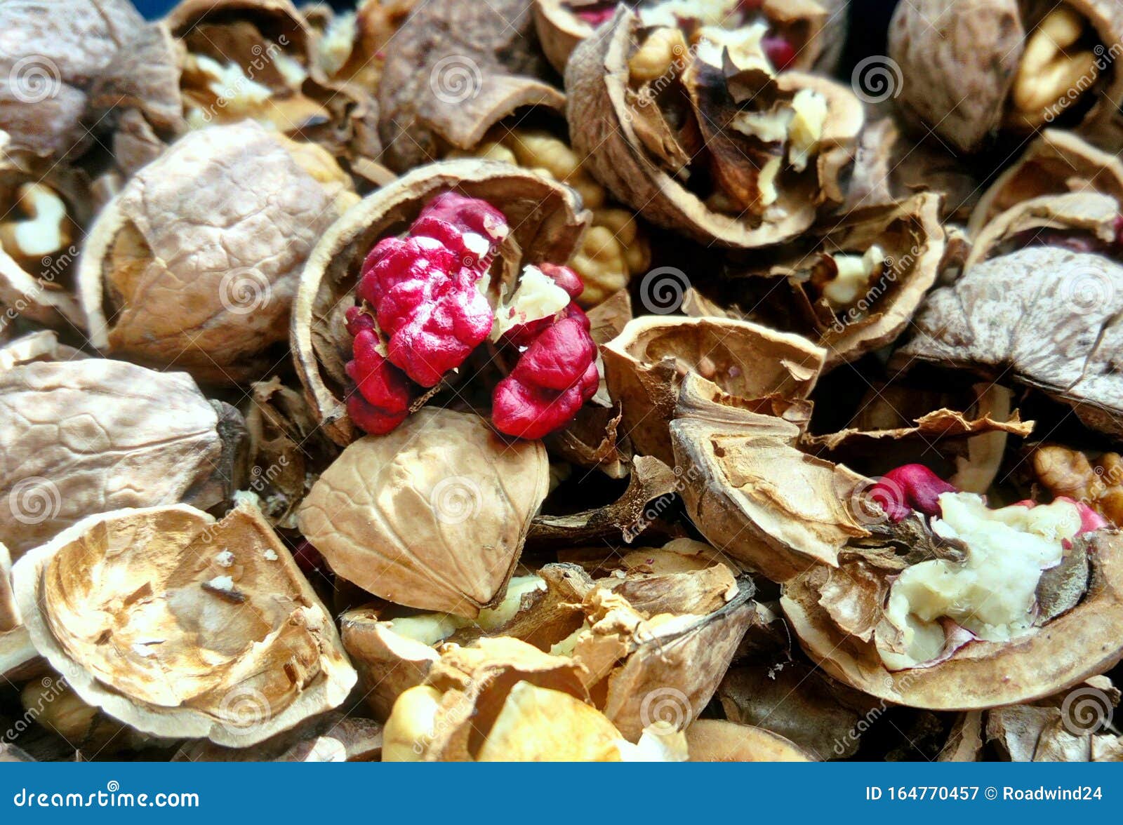 Red skin walnut stock image. Image of close, fruit, walnuts - 164770457