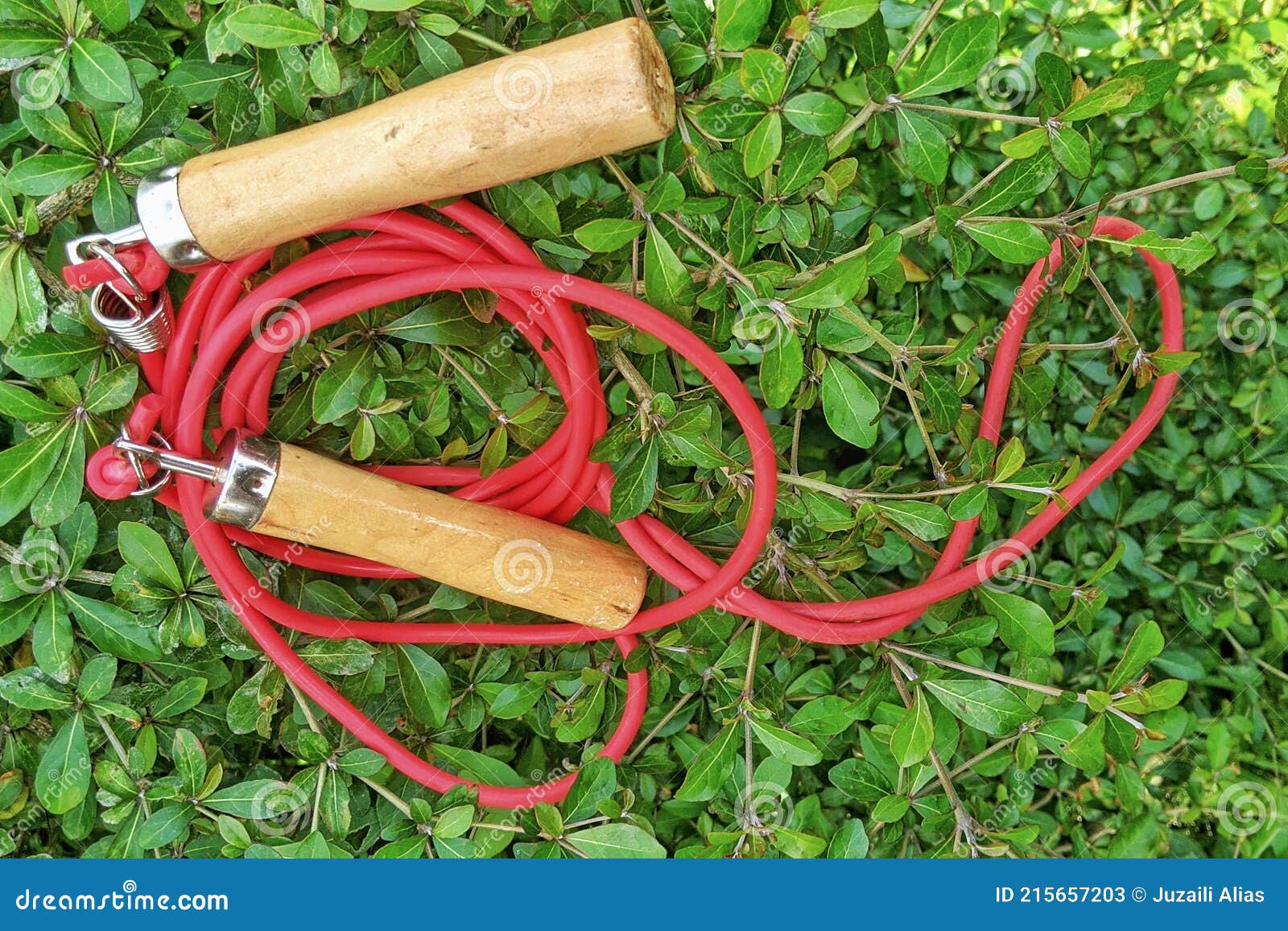 Red Skipping Rope with Wooden Handles Stock Image - Image of life ...