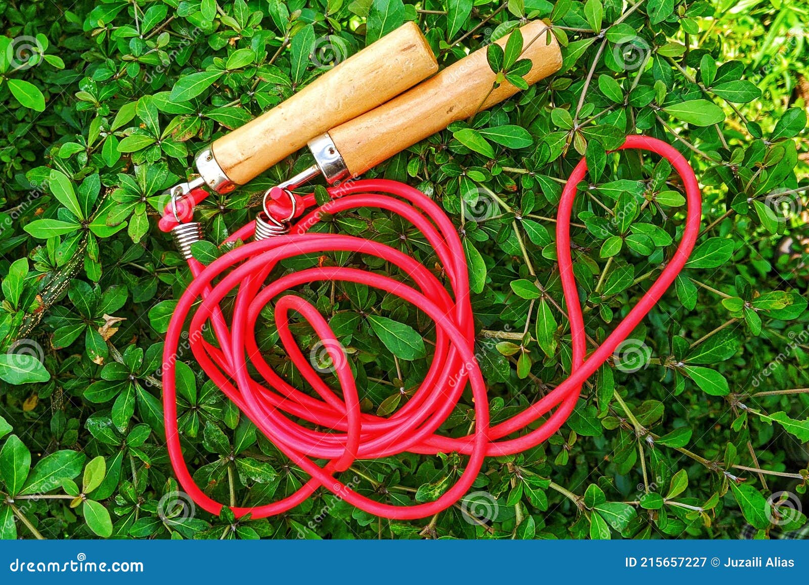 Red Skipping Rope with Wooden Handles Stock Image - Image of cord ...