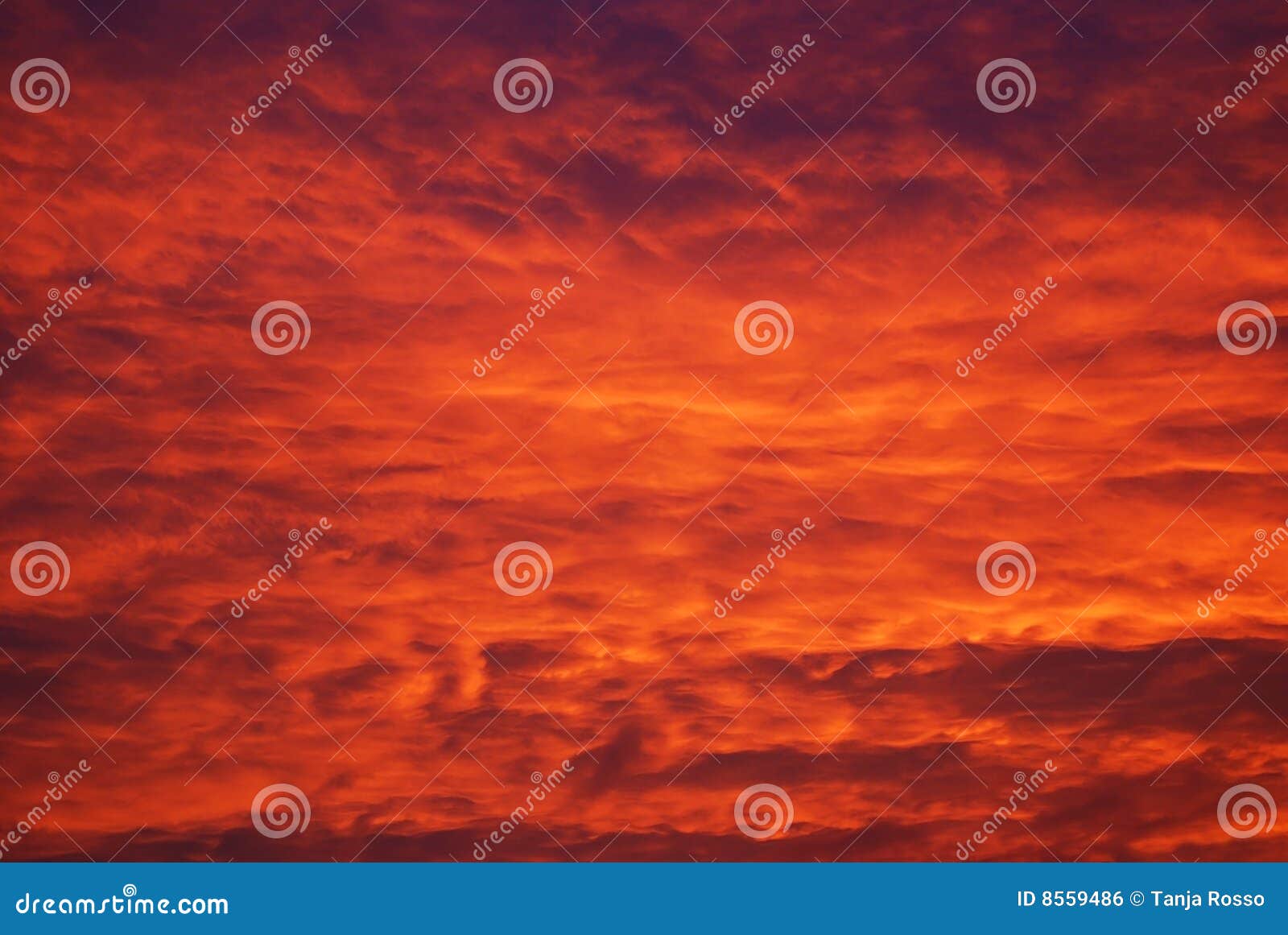 Red sky stock photo. Image of evening, colorful, dust - 8559486