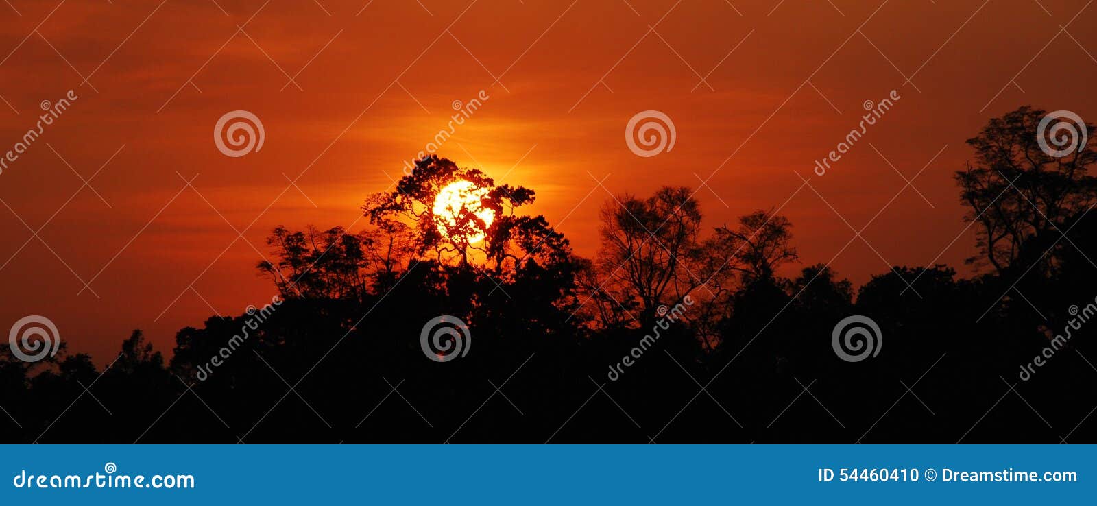 Red sky Amazon rain forest stock photo. Image of beautiful - 54460410