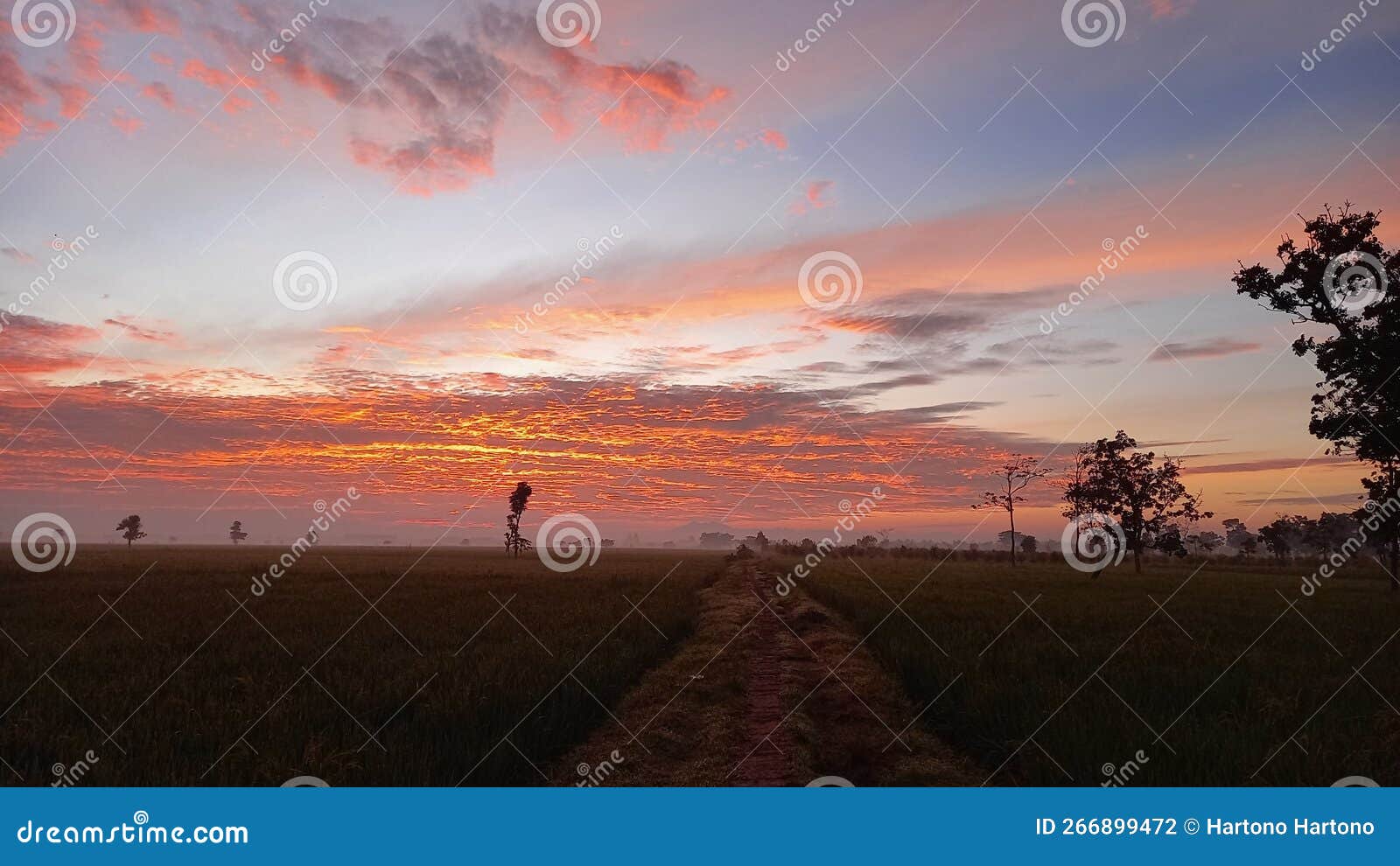 Red sky in the morning stock photo. Image of cloud, horizon - 266899472