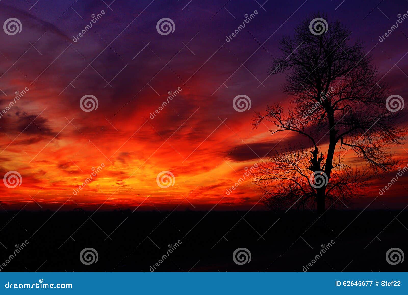 Red sky at sunset stock image. Image of magica, colorfull - 62645677