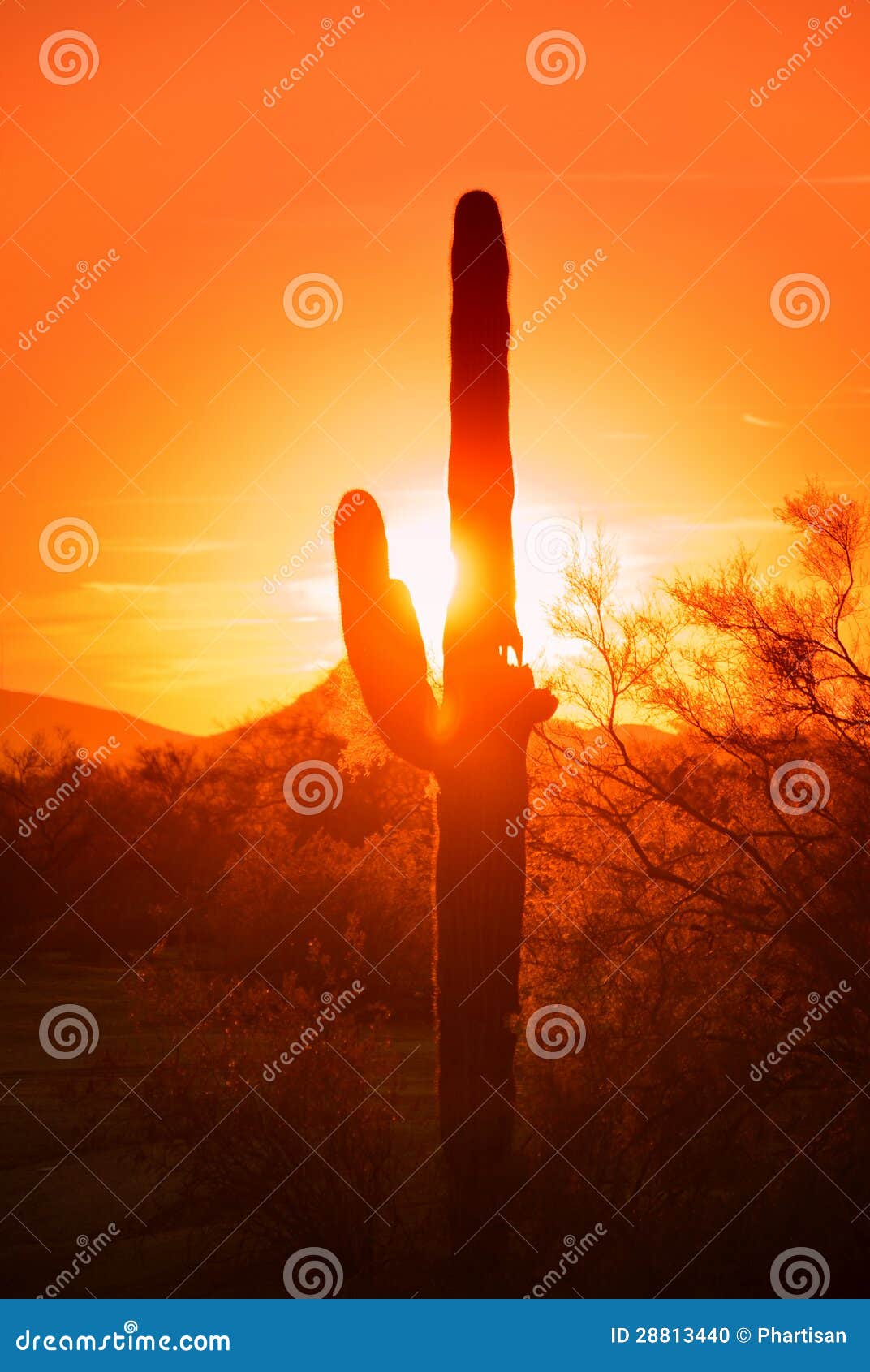 Red sky sunset in desert stock photo. Image of evening - 28813440