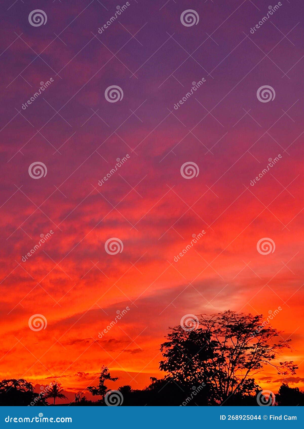 Red Sky Sunset in Gradient Color Nature Stock Photo - Image of sunset ...