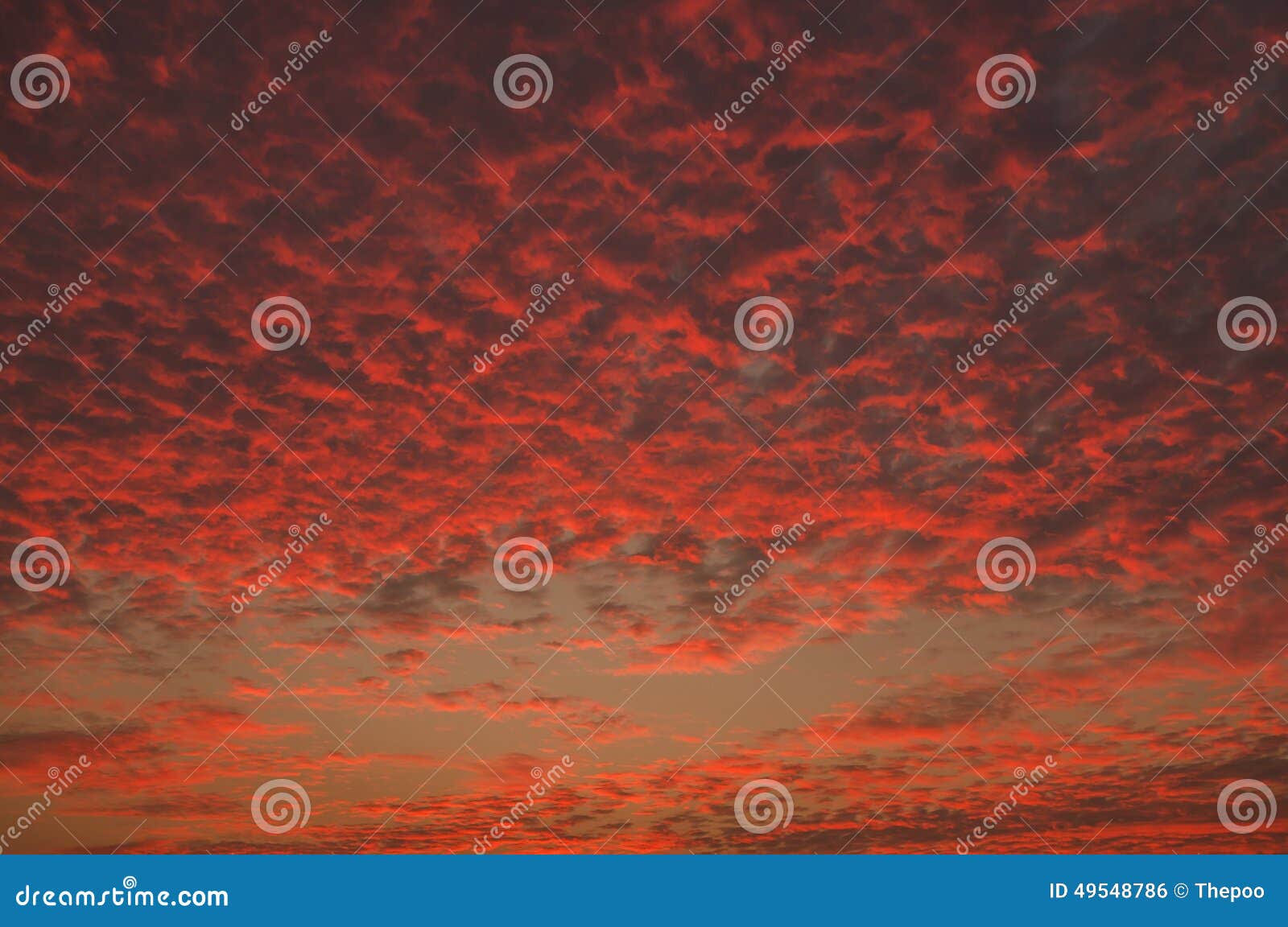 Red sky stock photo. Image of abstract, weather, color - 49548786