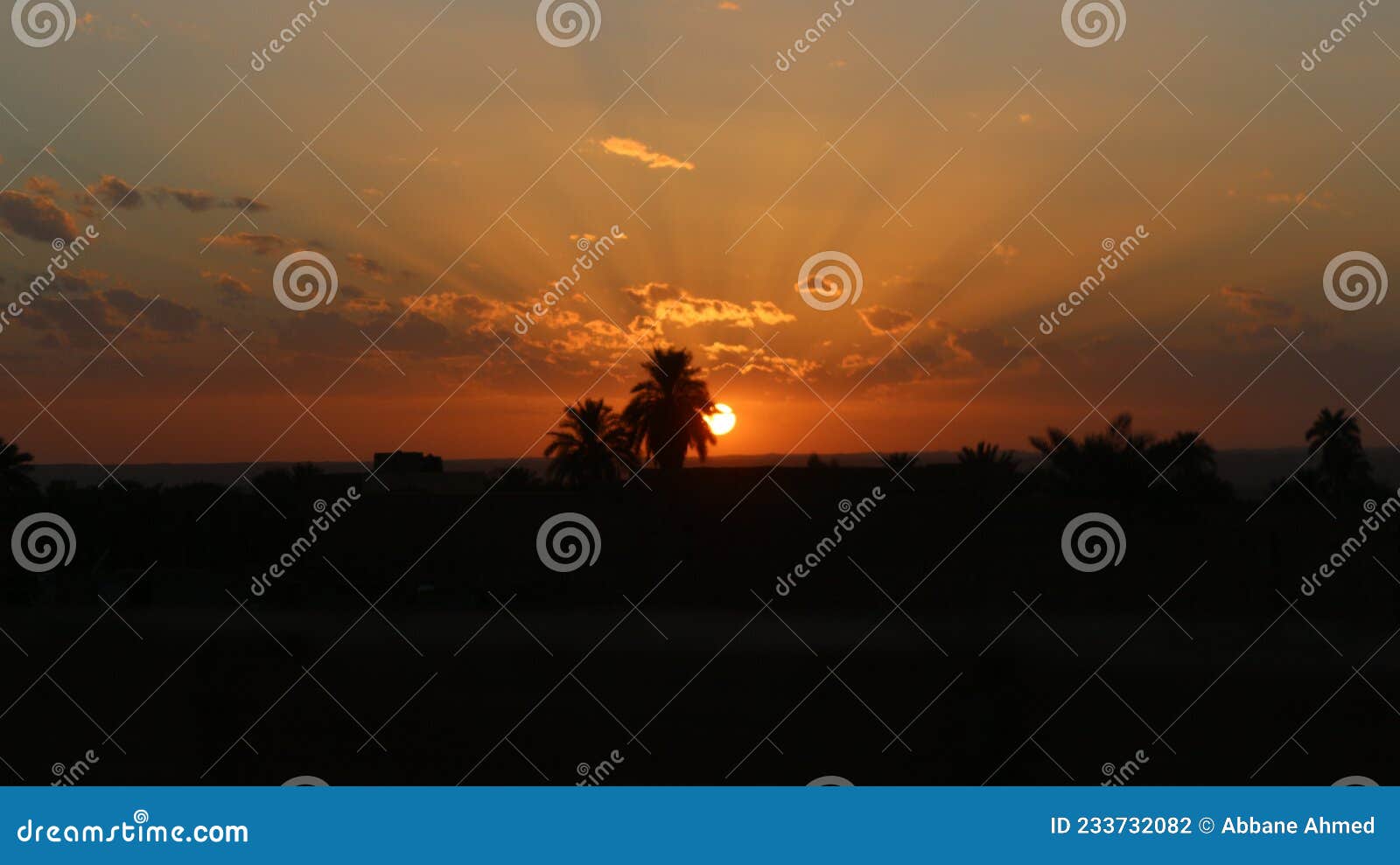 Red Sky at Sunset and Trees Silhouette Stock Photo - Image of trees ...