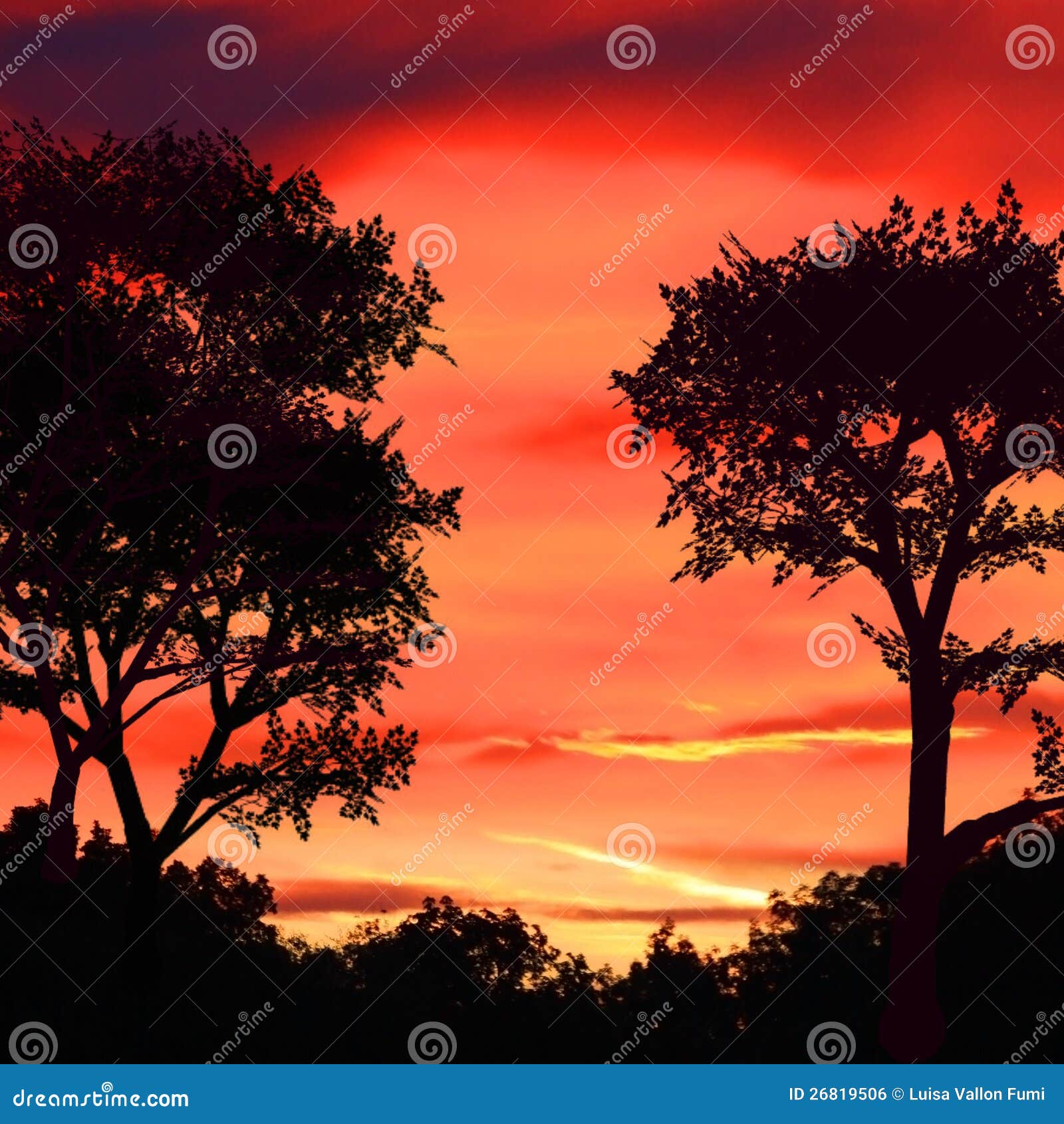Red sky and trees stock photo. Image of landscape, haze - 26819506