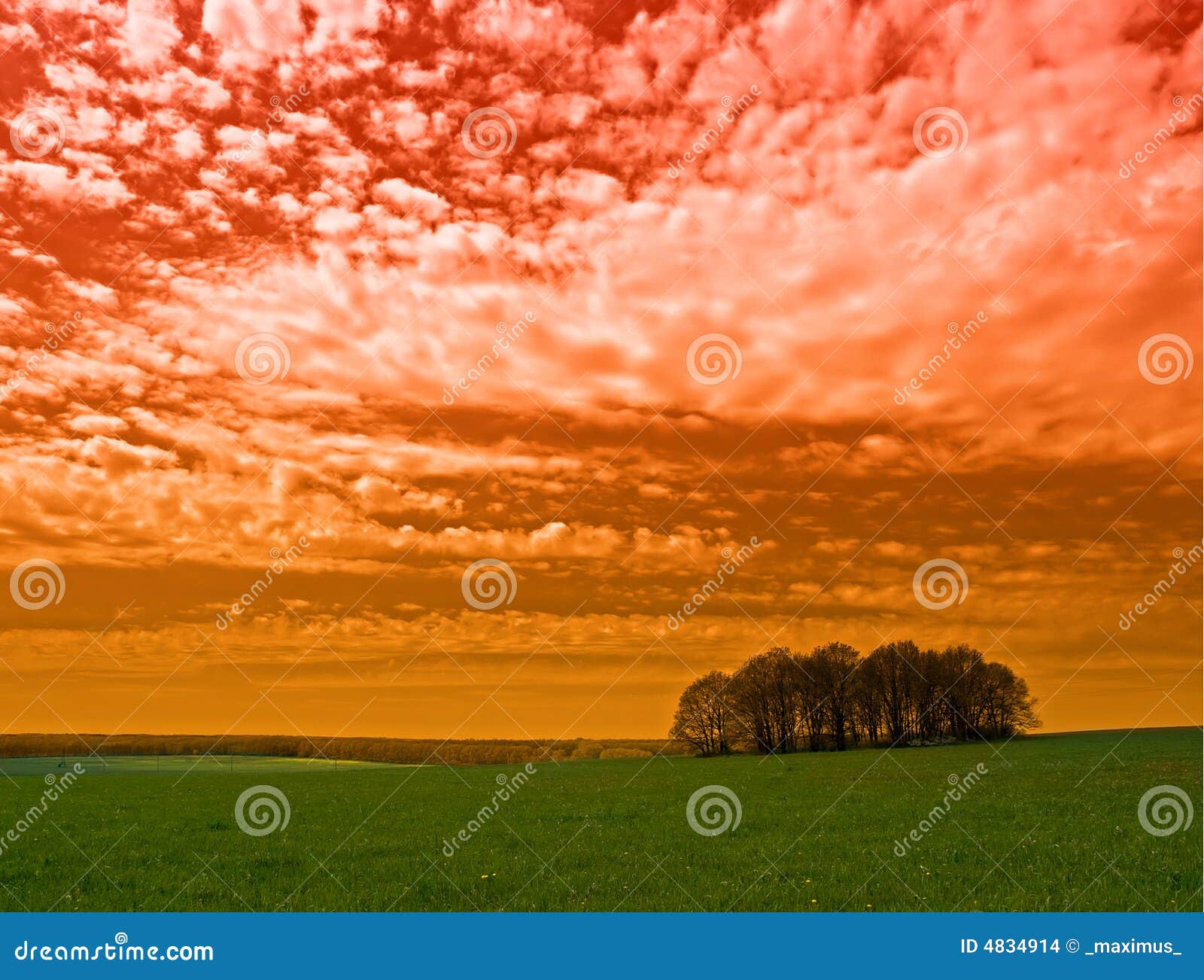Red sky and trees stock photo. Image of sunlight, landscaped - 4834914