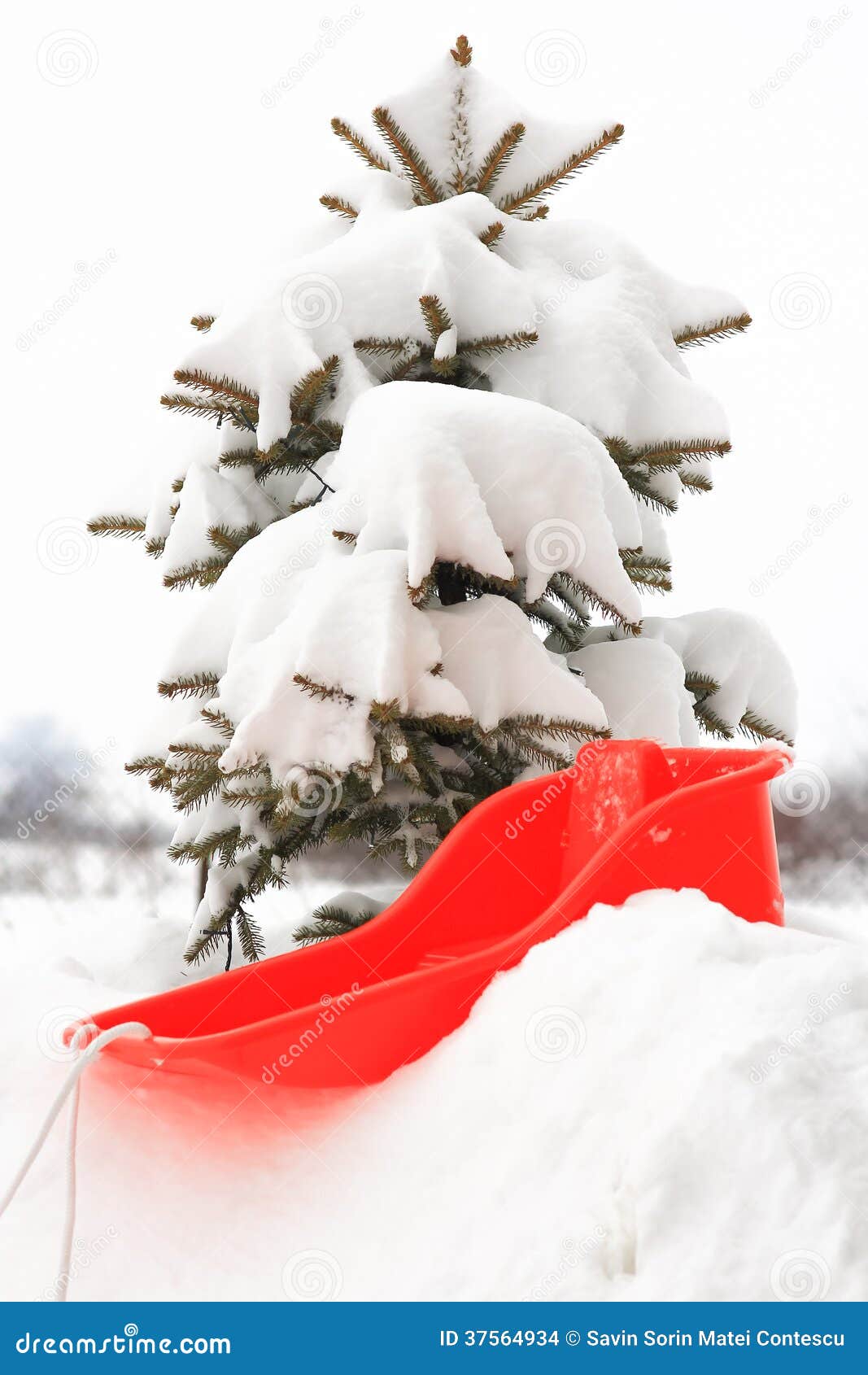 Red sledge stock photo. Image of color, gorgeos, girl - 37564934