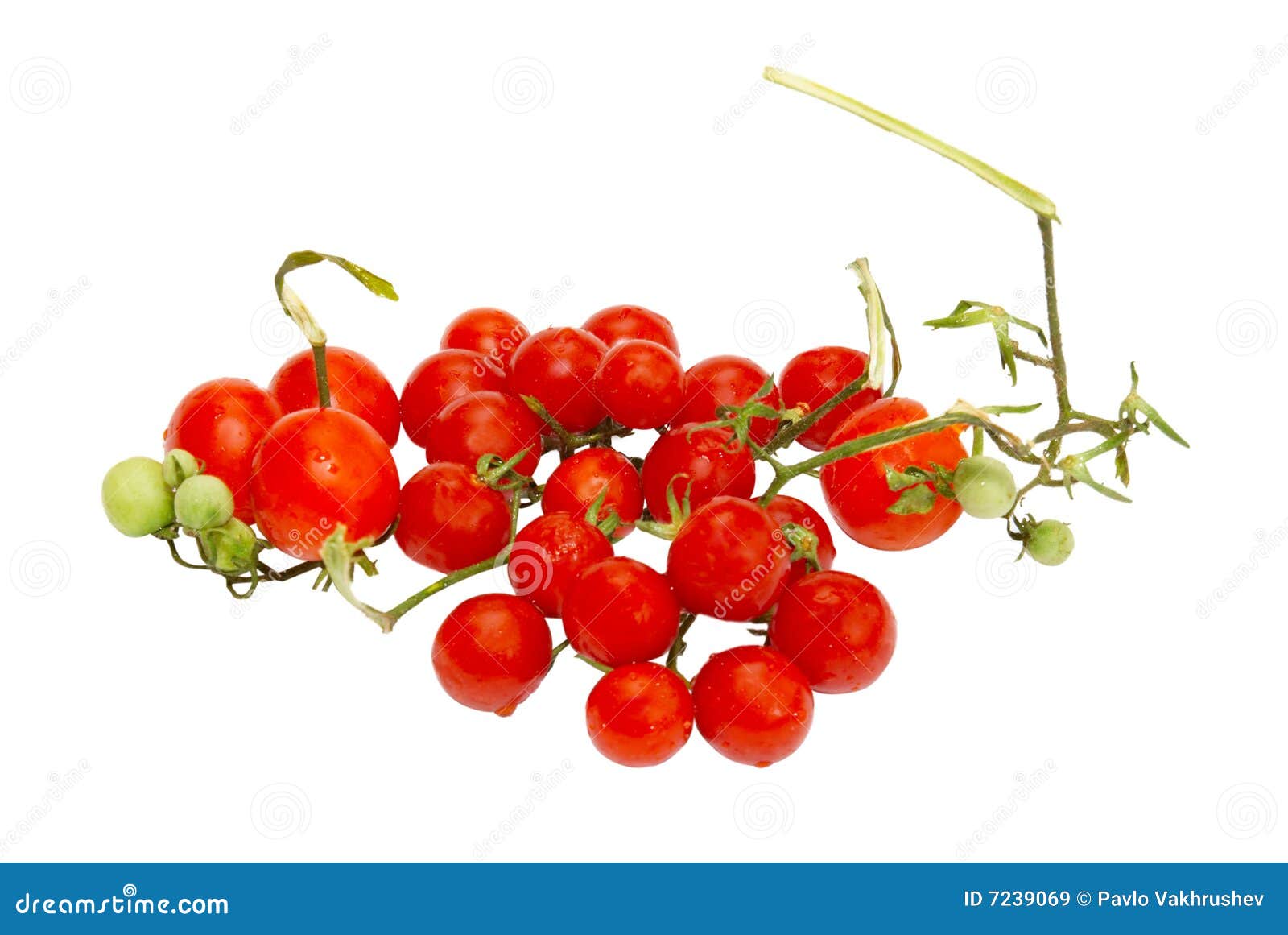 Red small tomatoes. stock image. Image of market, color - 7239069