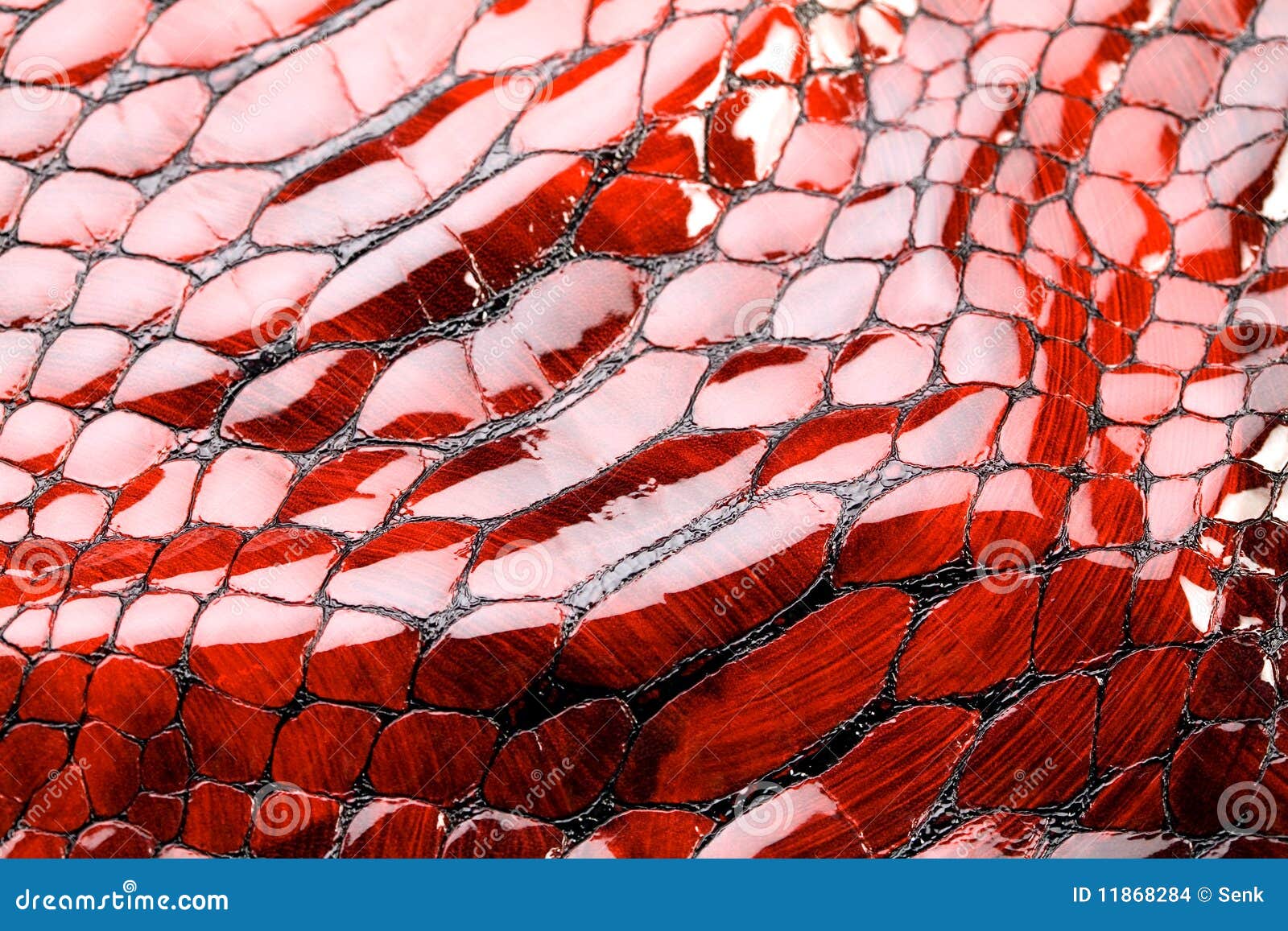 Red snake skin. stock photo. Image of pattern, close - 11868284
