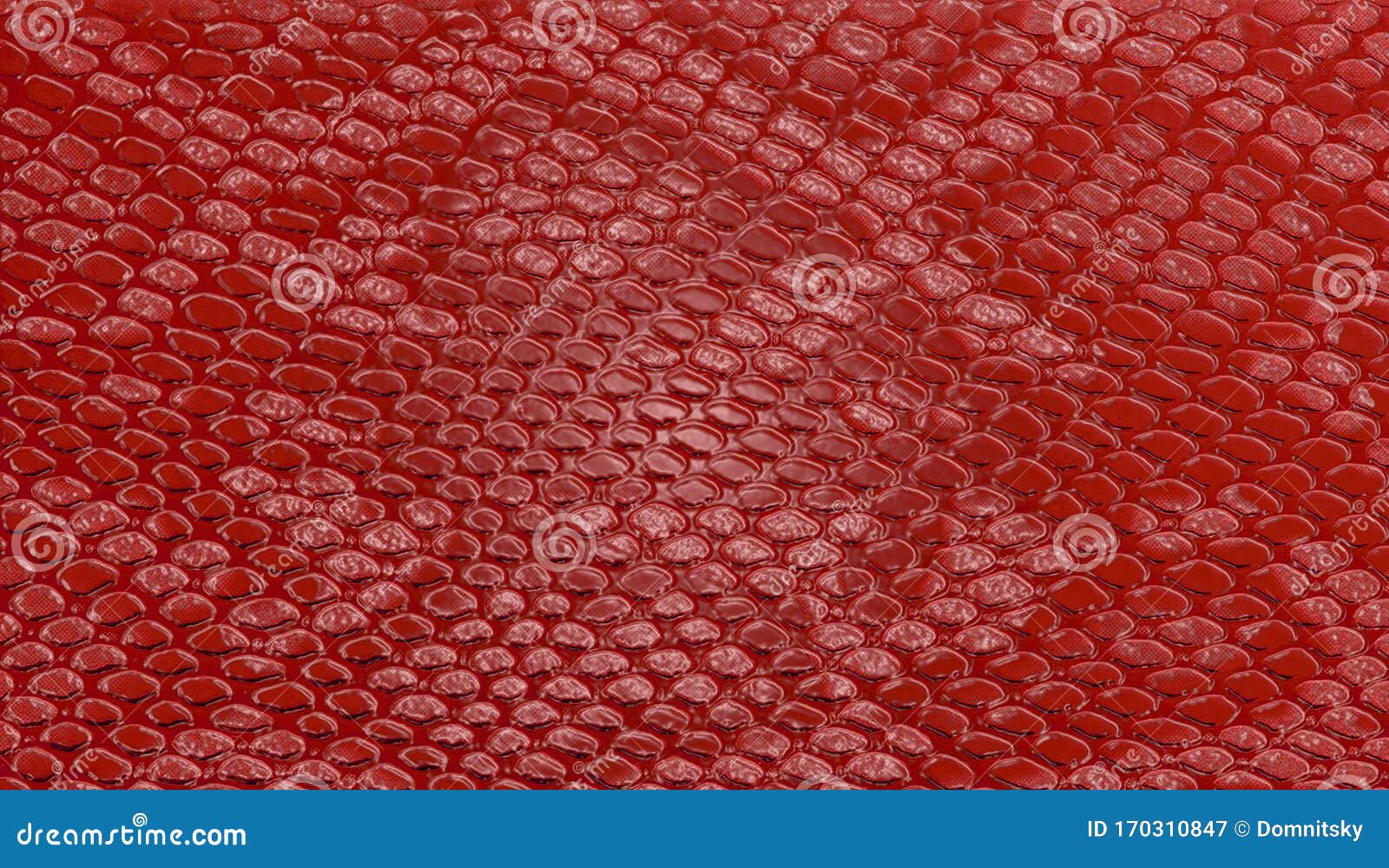 Red Snake Skin Texture Background Stock Image - Image of material ...