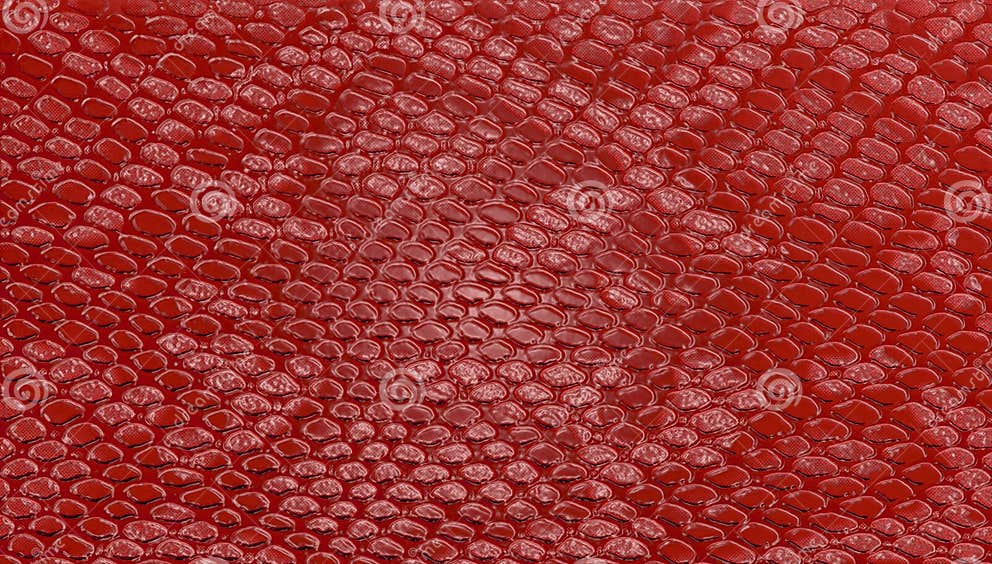 Red Snake Skin Texture Background Stock Image - Image of material ...
