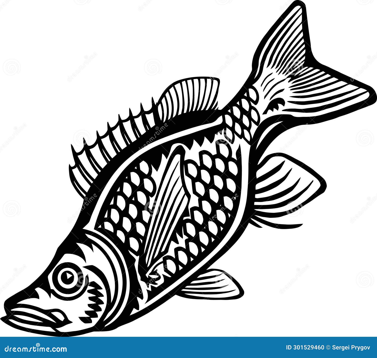 Snapper Logo Vector Outline Silhouette Art Icon | CartoonDealer.com ...