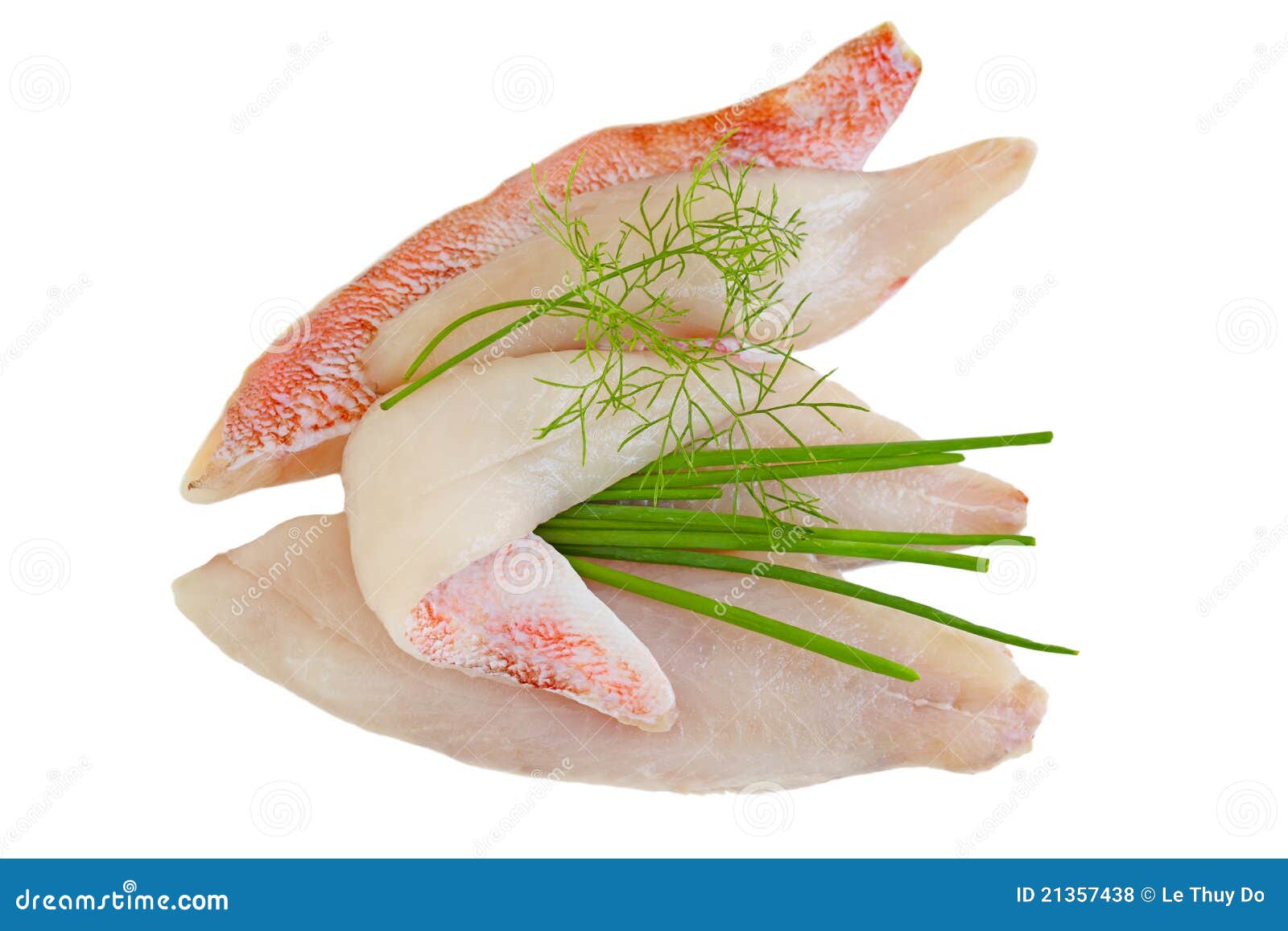 Red Snapper Fillet stock photo. Image of isolated, meat - 21357438