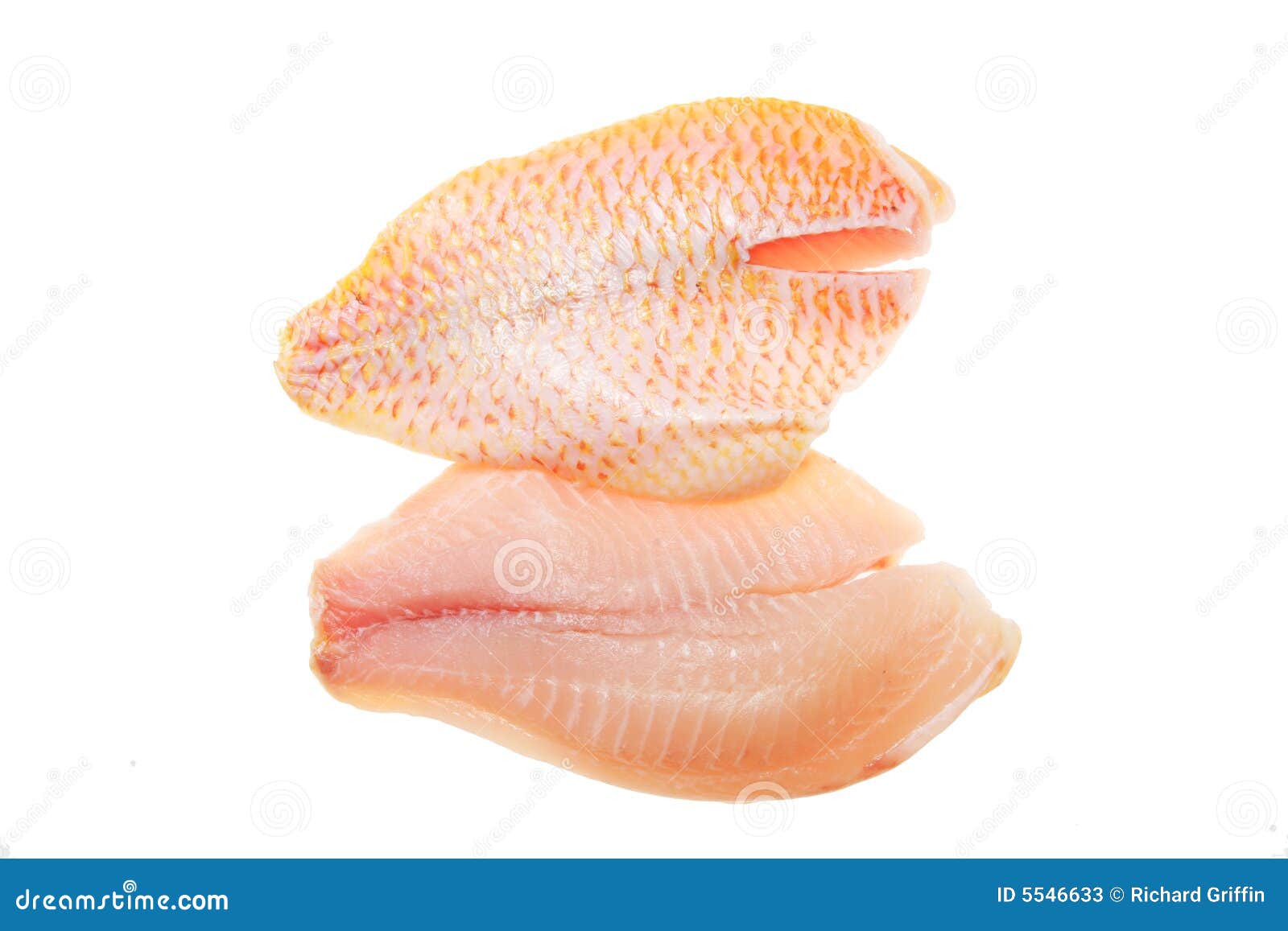 Red snapper fillets stock image. Image of skin, fillet - 5546633