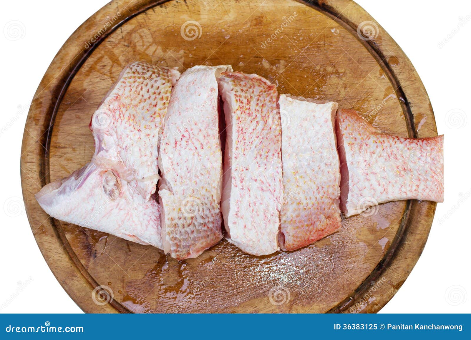 Red snapper fish fillet stock image. Image of fillet - 36383125