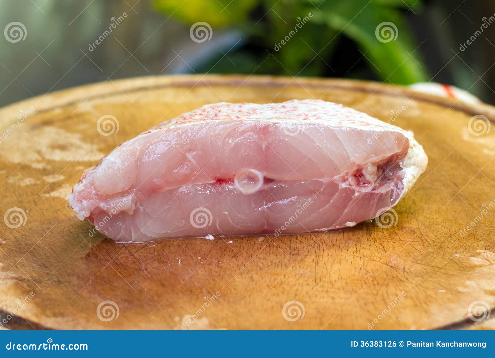 Red snapper fish fillet stock photo. Image of snapper - 36383126