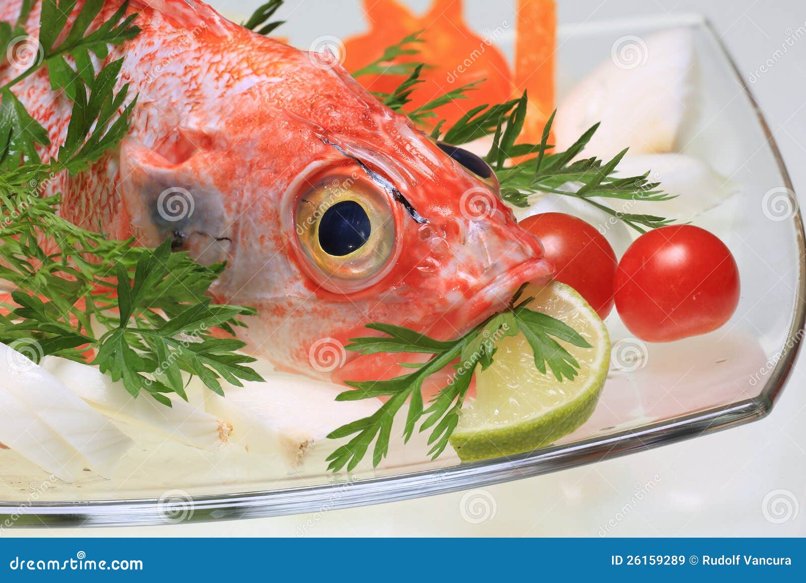 Red Snapper Fish with Herbs Stock Image - Image of culinary, meal: 26159289