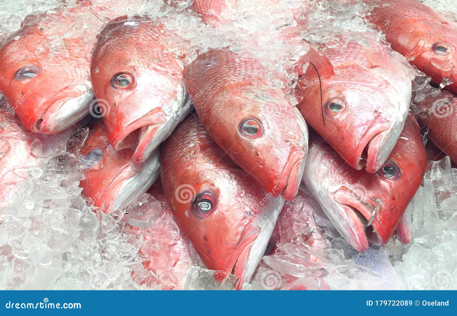Red Snapper Fish on Ice at Fish Market Stock Image - Image of food ...
