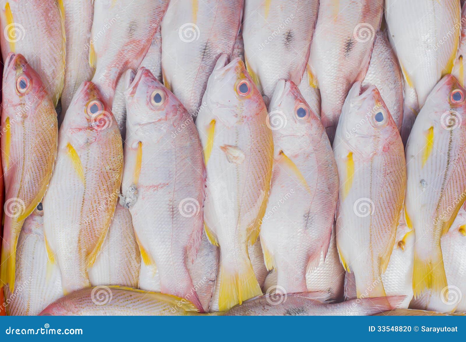 Red Snapper Fresh Fish at the Market Stock Photo - Image of healthy ...
