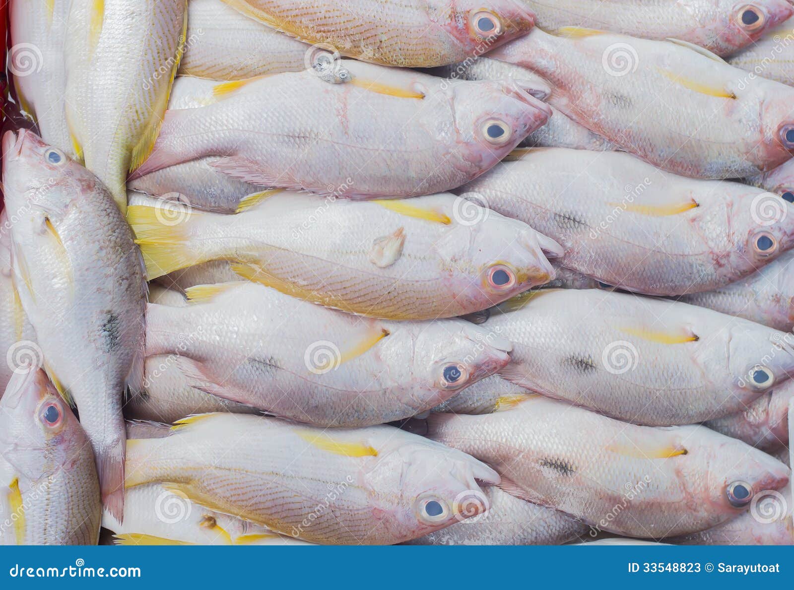 Red Snapper Fresh Fish at the Market Stock Image - Image of freshness ...