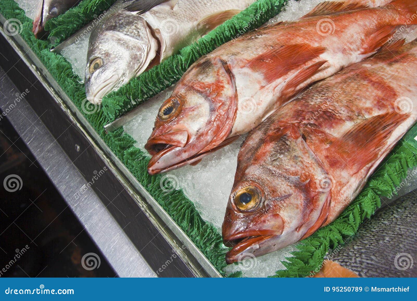 Red Snapper on Ice & X28;Eyes& X29; Stock Image - Image of food, market ...