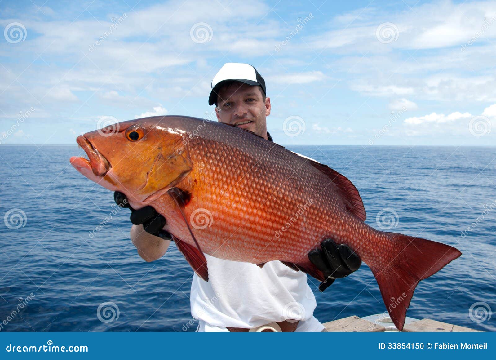Red snapper stock photo. Image of giant, animals, jack - 33854150