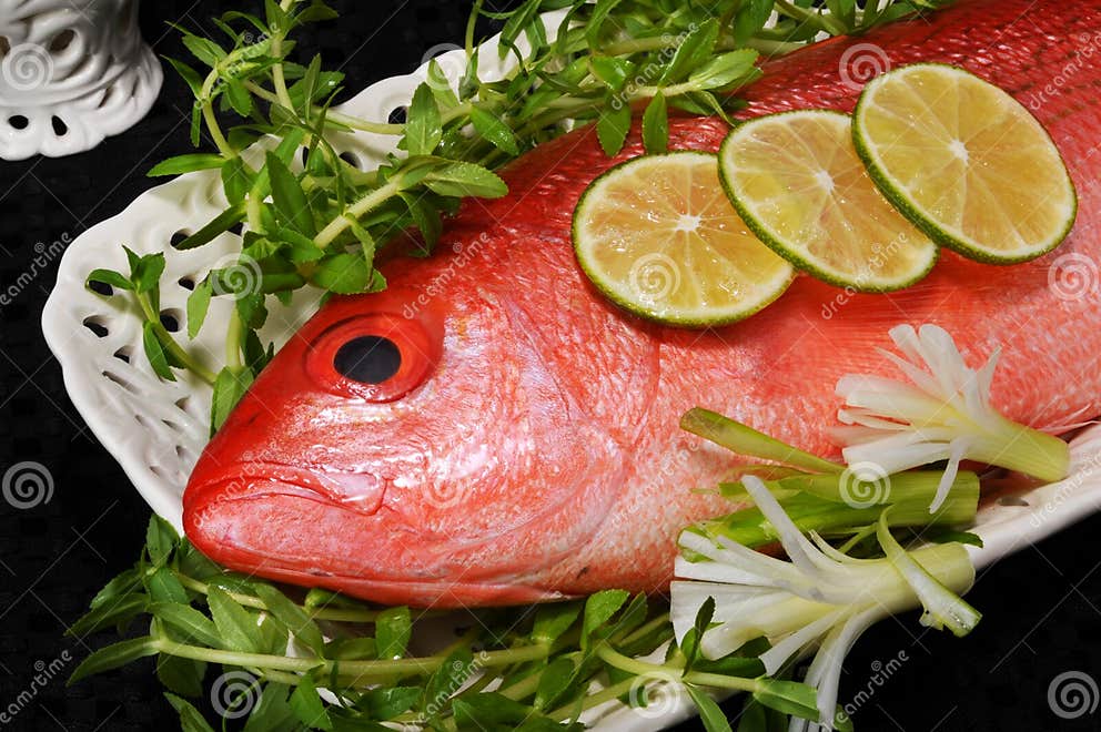 Red Snapper on a plate stock photo. Image of green, meal - 15904710