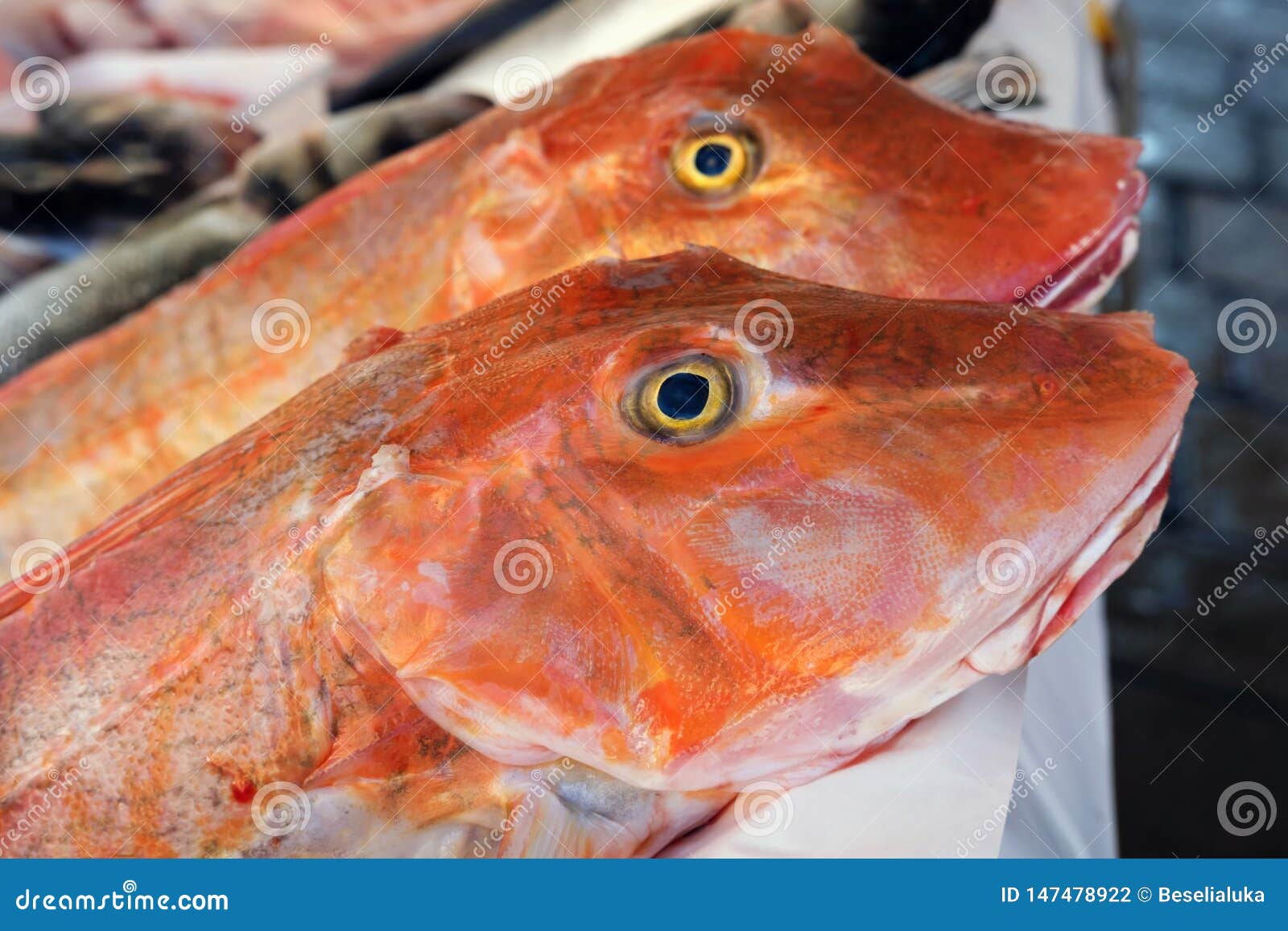 Red snappers stock photo. Image of eyes, silver, stack - 147478922