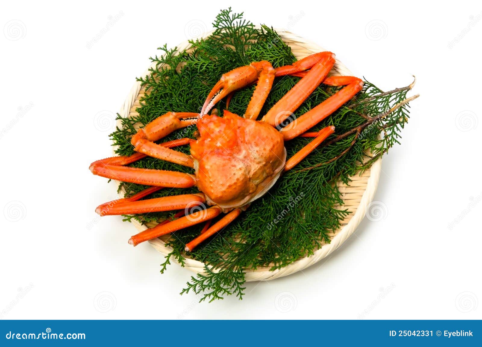 Red snow crab stock image. Image of food, eating, crustacean - 25042331