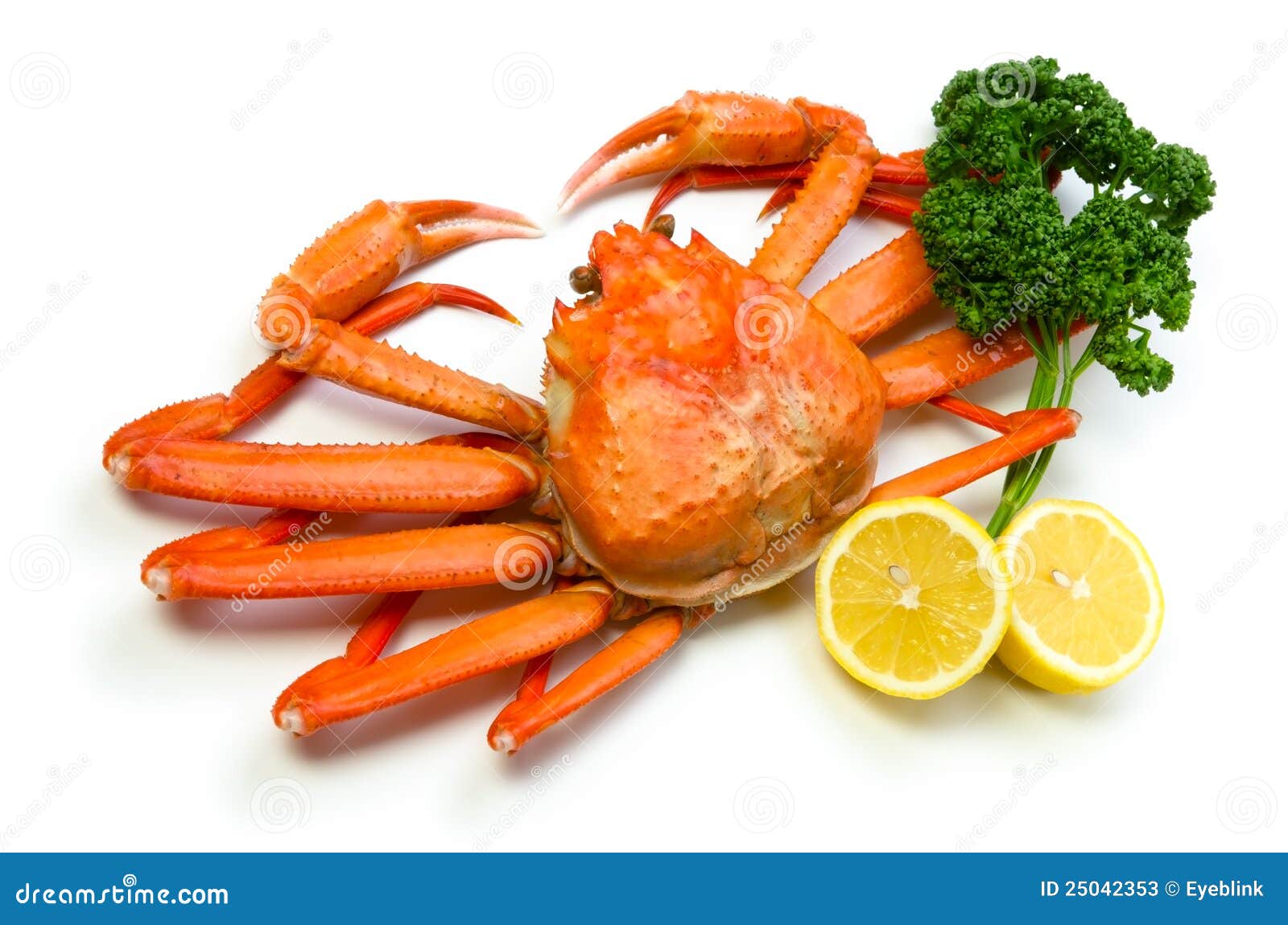 Red snow crab stock image. Image of aquatic, healthy - 25042353