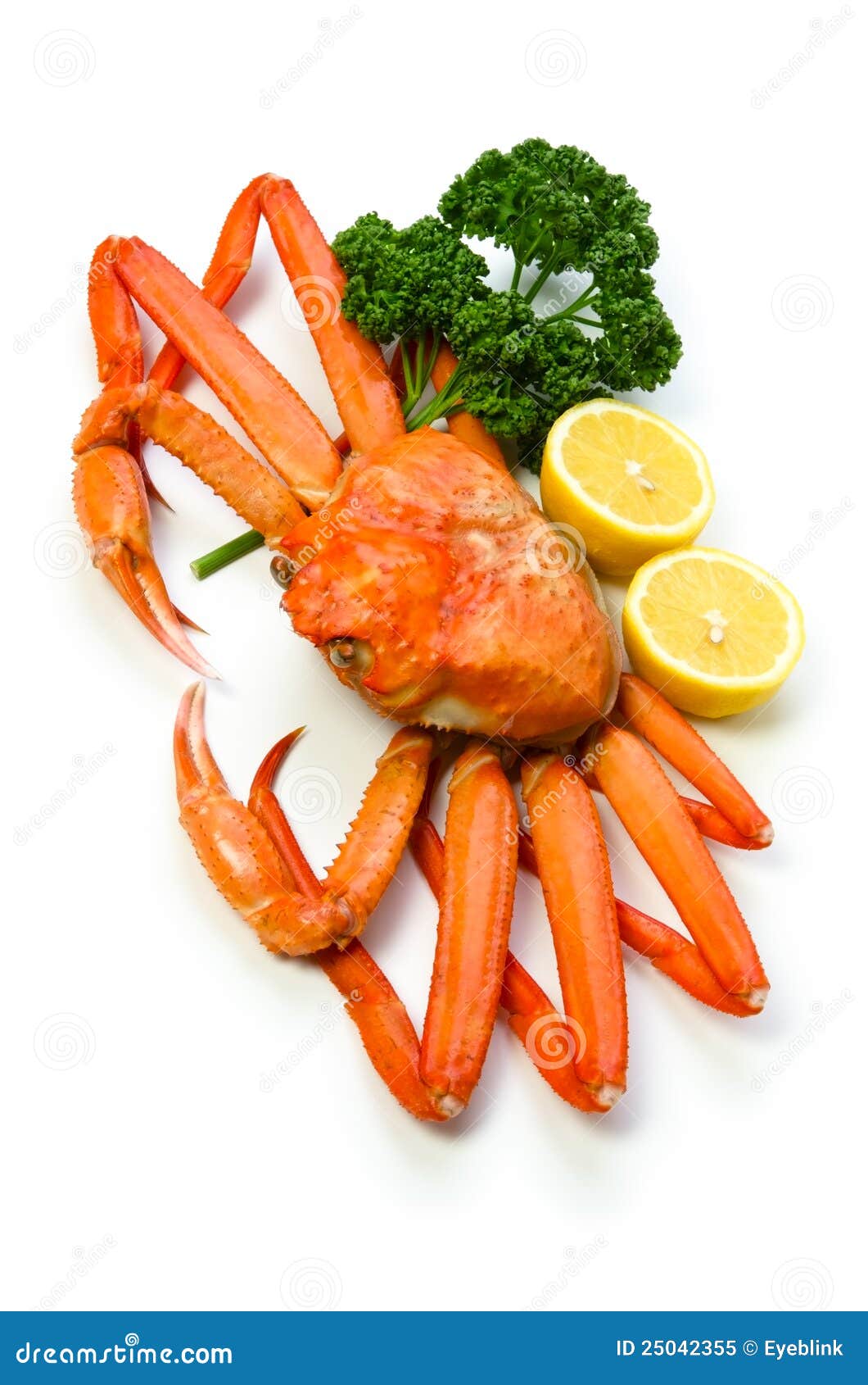 Red snow crab stock image. Image of meal, healthy, eating - 25042355