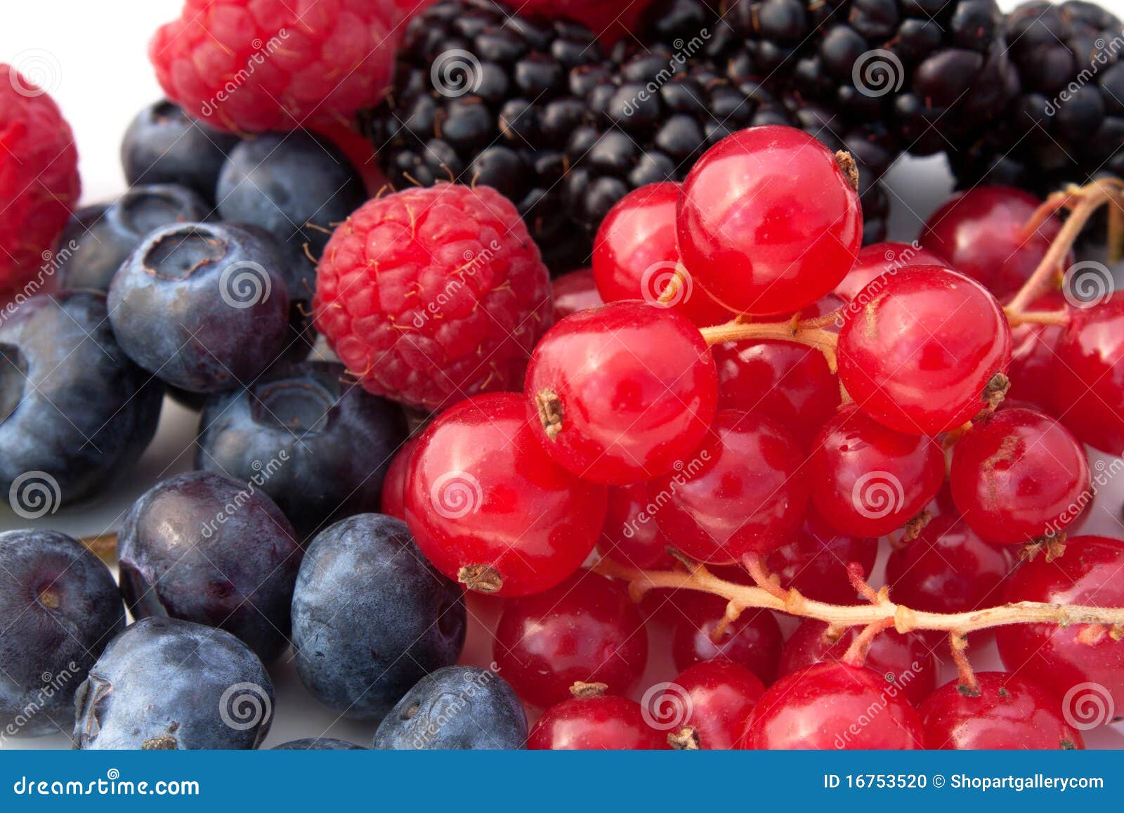 Red Soft Fruits - Closeup stock photo. Image of isolated - 16753520