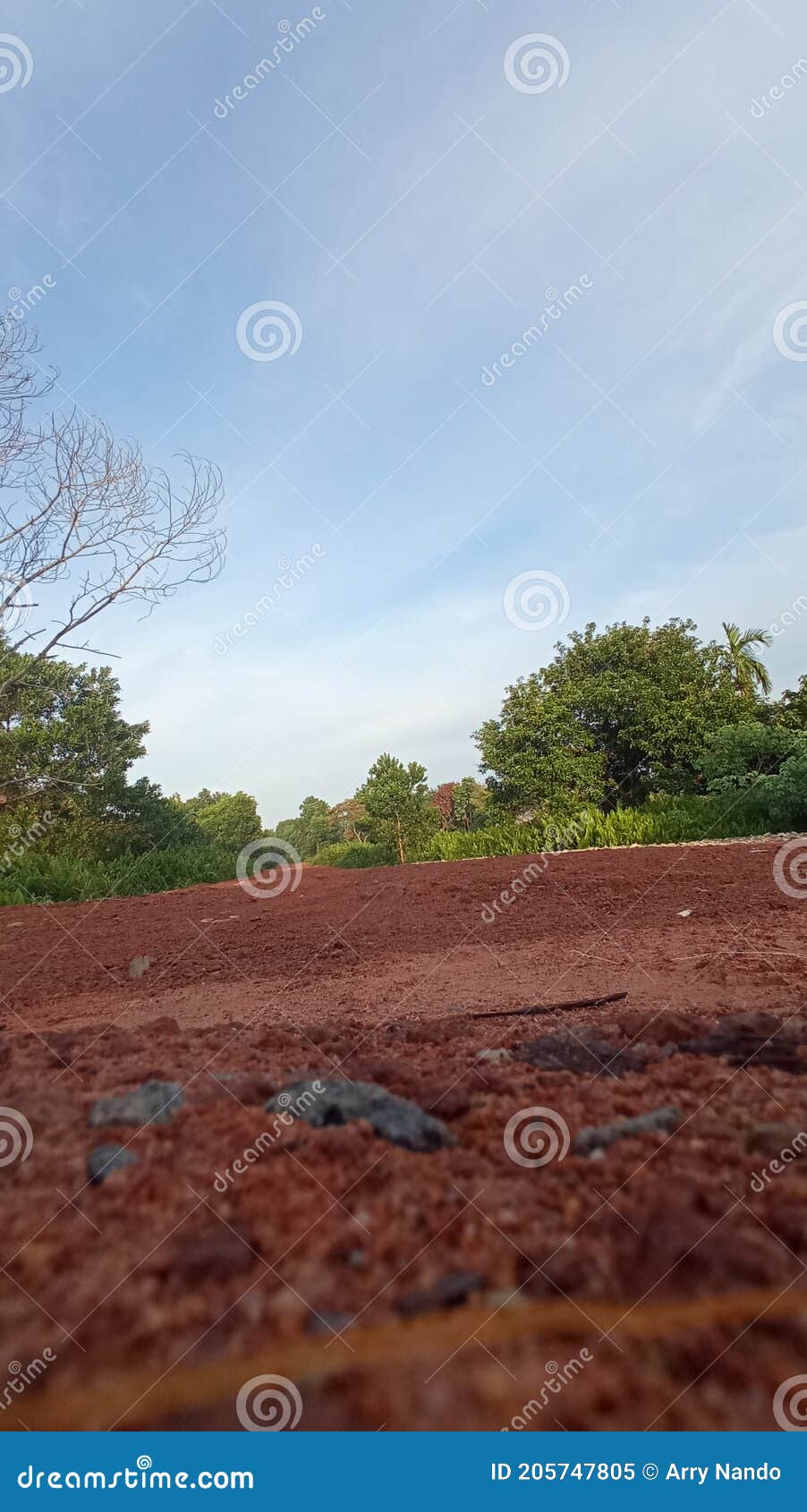 Red soil in the land stock image. Image of landscape - 205747805