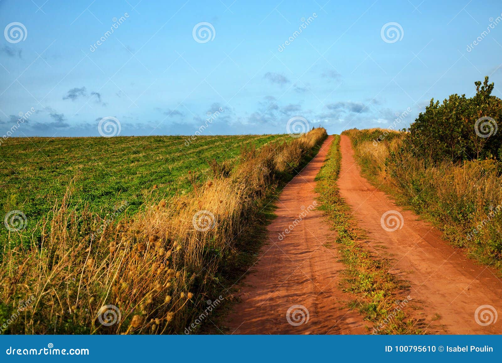 Red soil road stock photo. Image of rural, wild, sand - 100795610