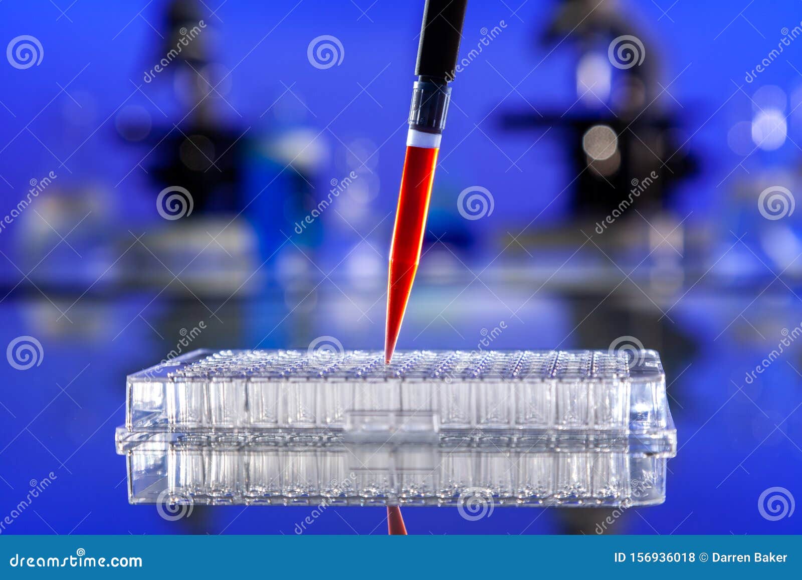 Red Solution or Blood Scientific Research with a Pipette and Cell Plate ...