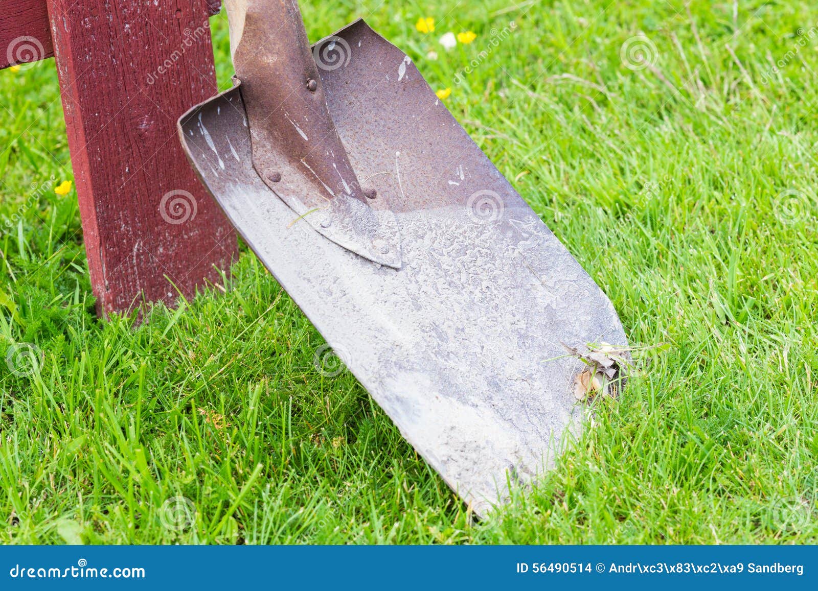 Red Spade Standing on Green Grass Stock Photo - Image of yard, soil ...