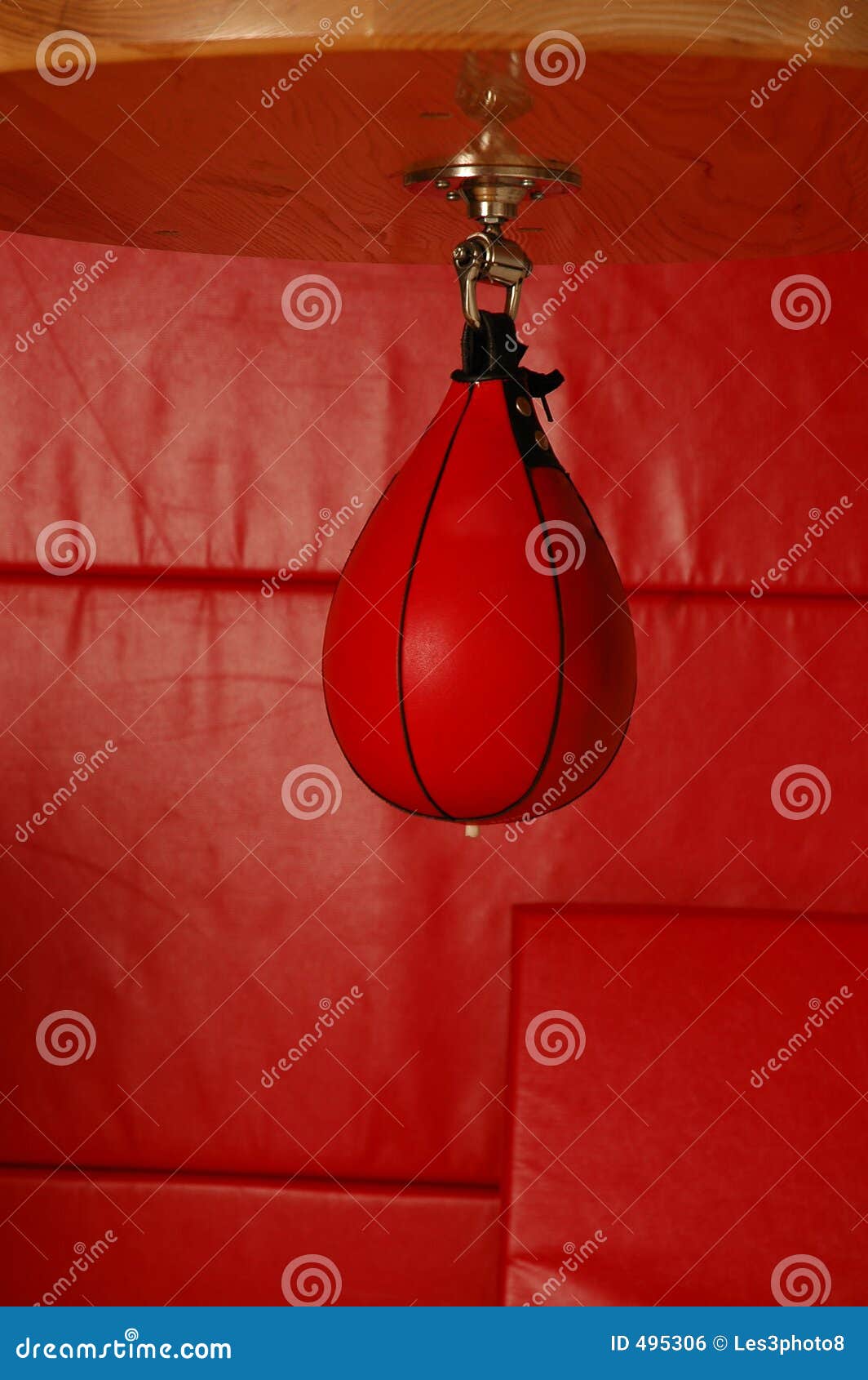Red speed bag stock photo. Image of hook, fight, practice - 495306