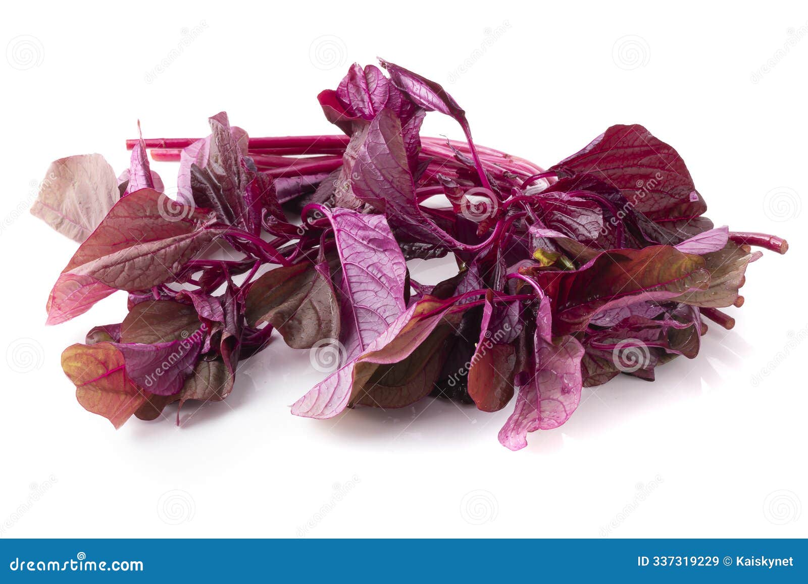 Red Spinach Isolated on a White Background Stock Image - Image of ...