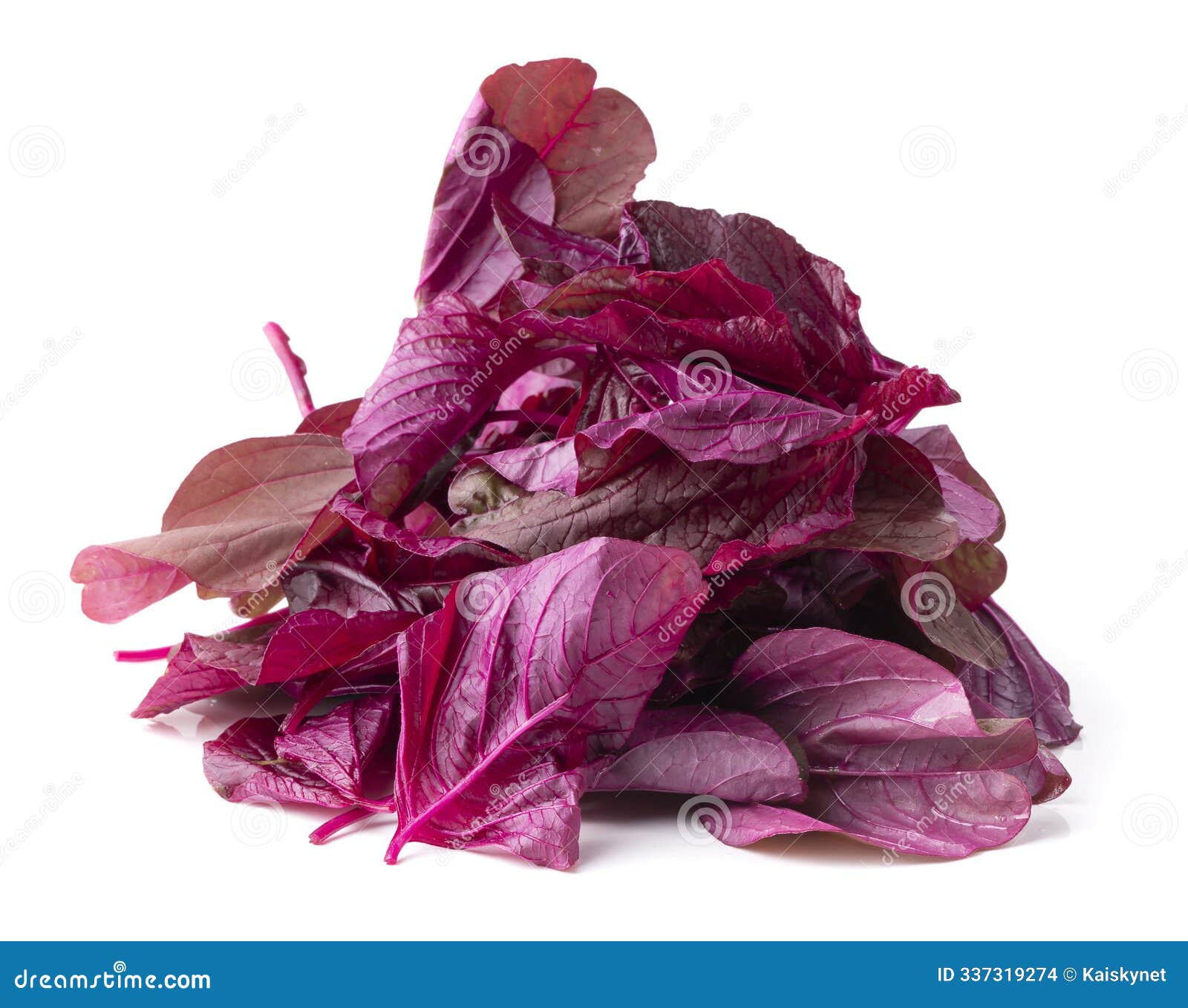Red Spinach Isolated on a White Background Stock Photo - Image of ...