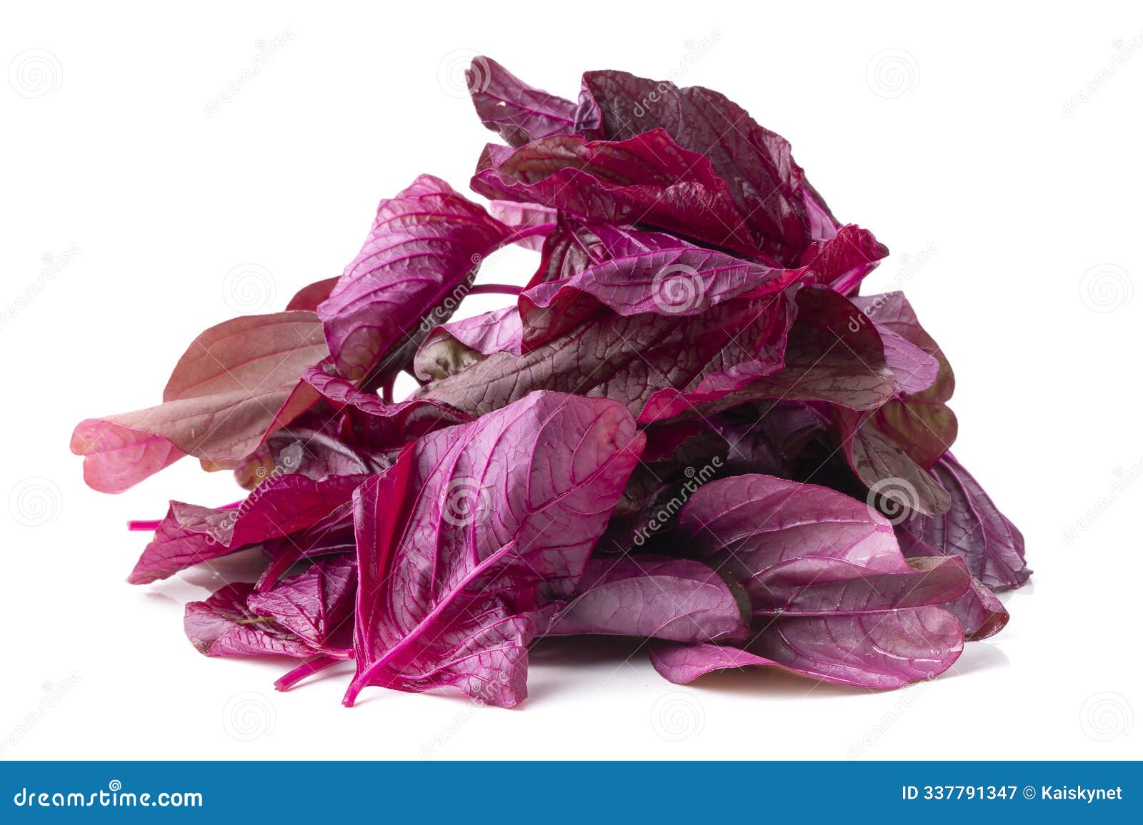 Red Spinach Isolated on a White Background Stock Image - Image of herb ...