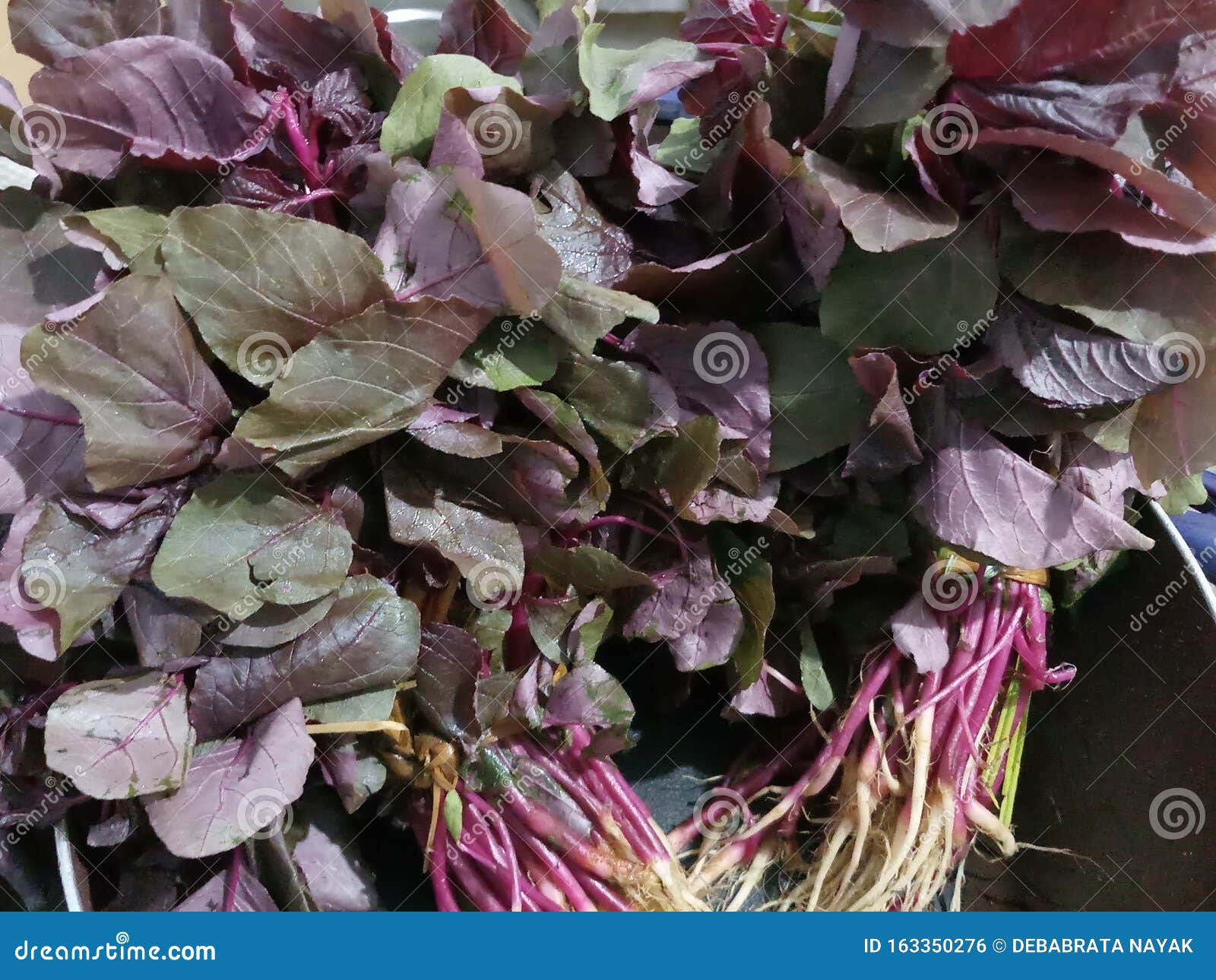 Red Spinach Leafy Vegetables in a Kitchen in India Stock Photo - Image ...