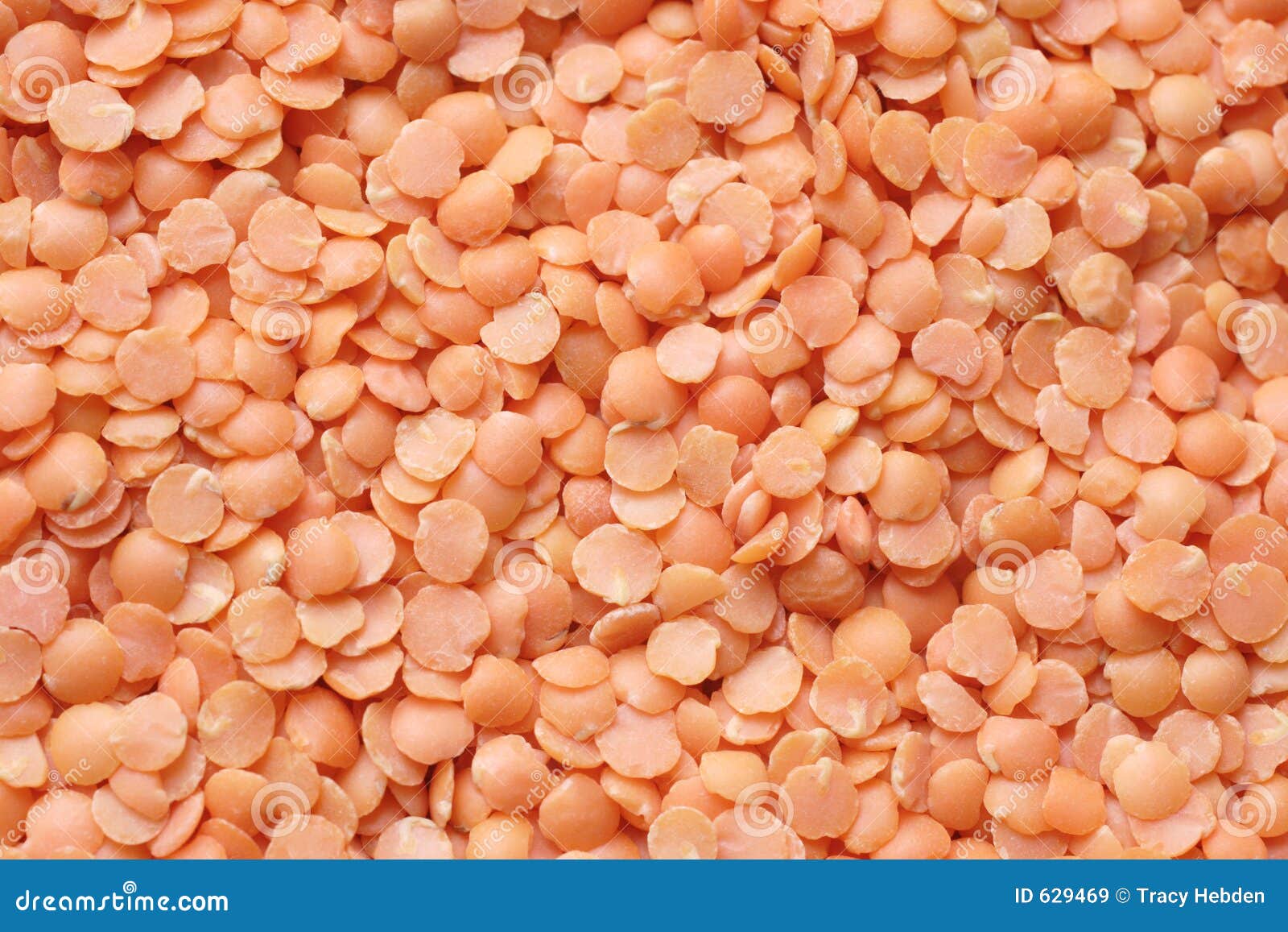Red split lentils stock image. Image of pure, wholesome - 629469