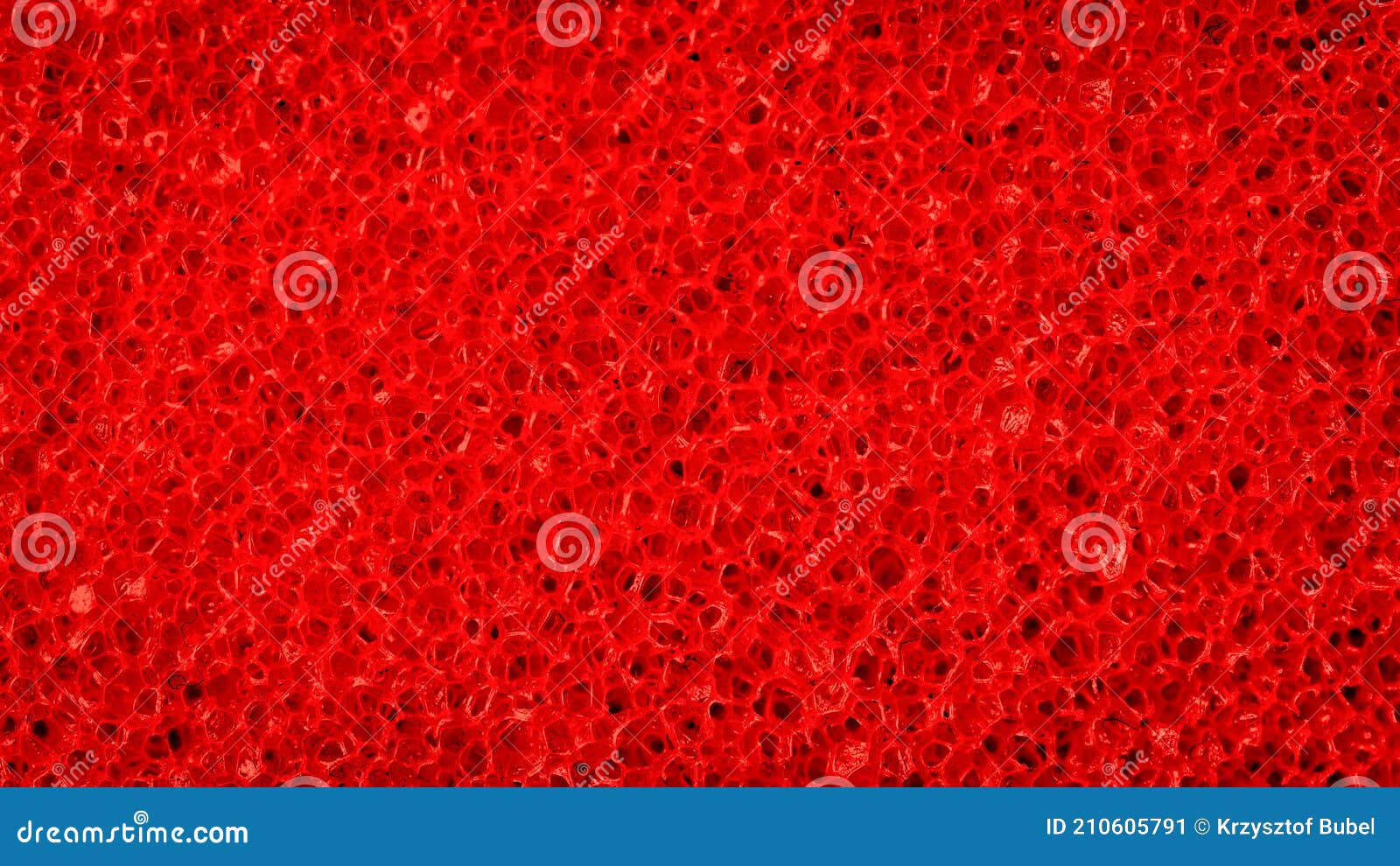 Red Sponge with Visible Details. Background or Texture Stock Image ...