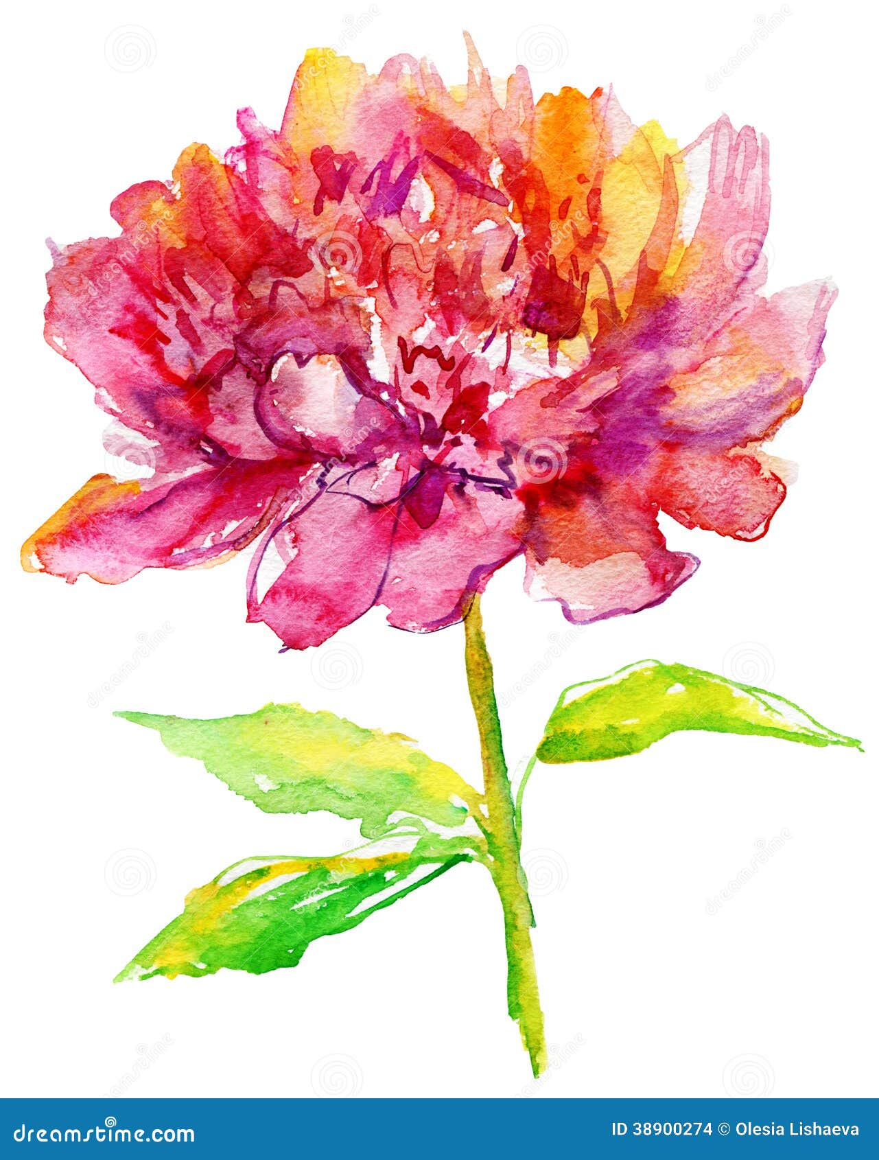 Red Spring Flower, Watercolor Illustration Stock Illustration ...