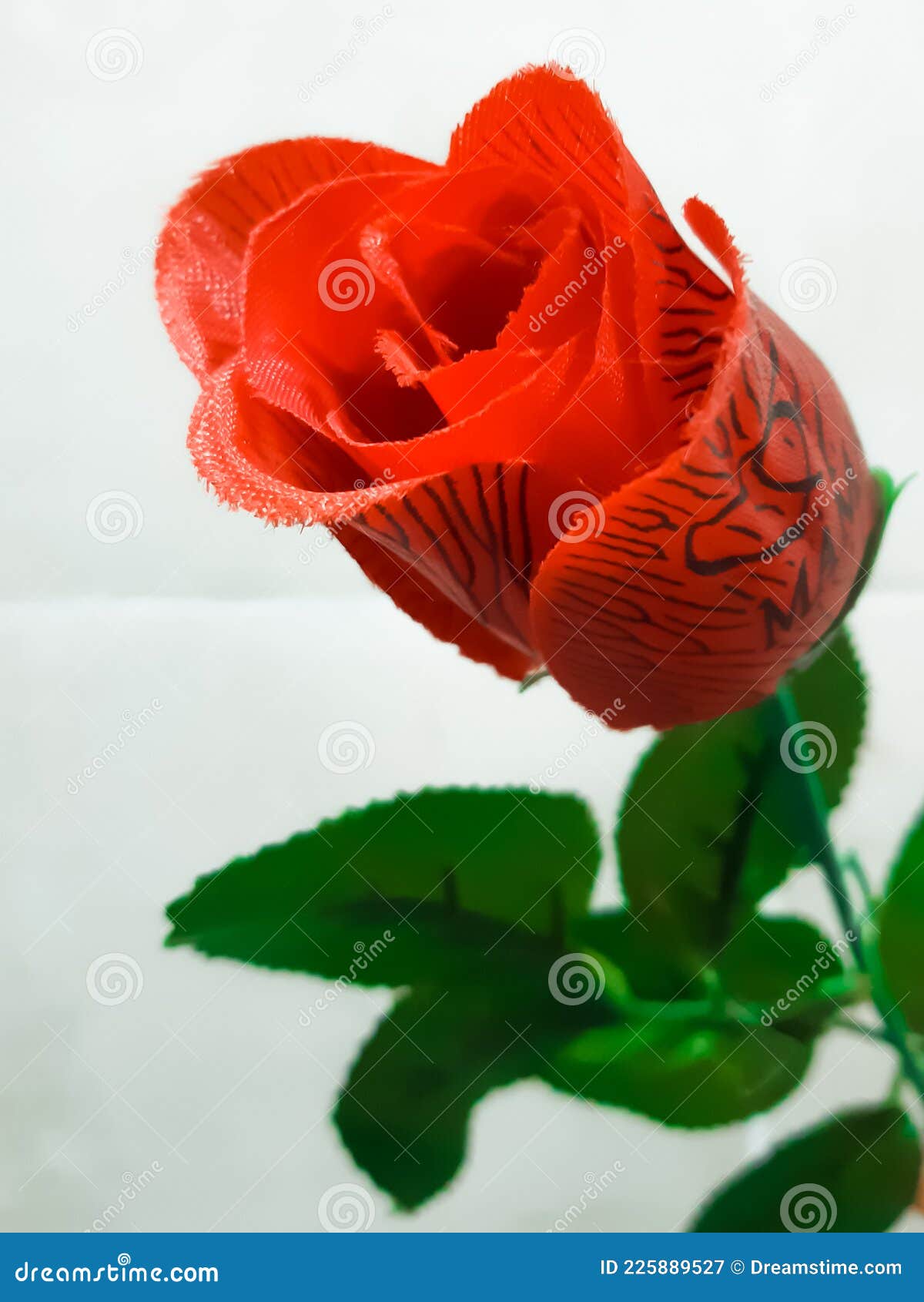 Floar Gift Stock Photos - Free & Royalty-Free Stock Photos from Dreamstime